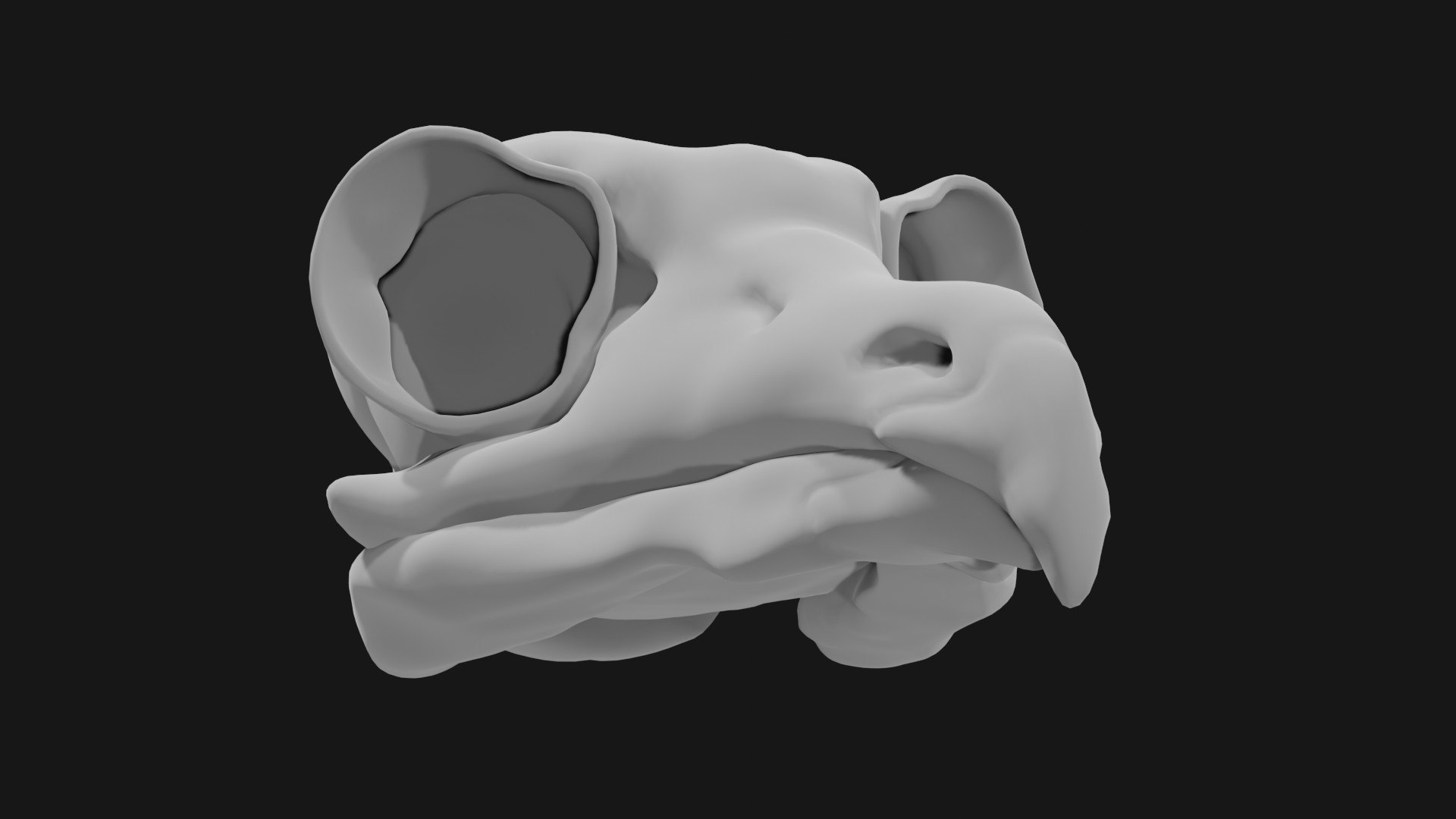 3D Owl Skull - TurboSquid 1964807