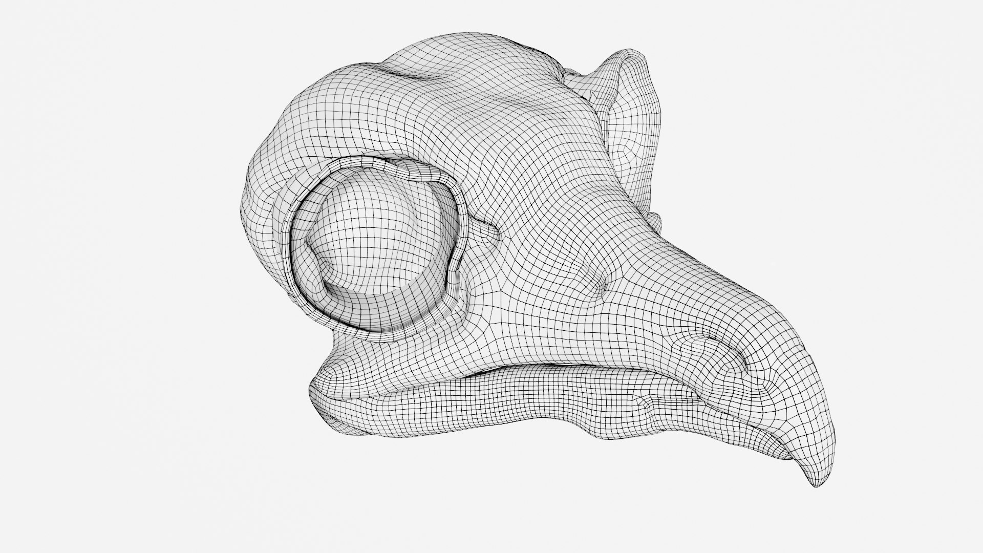 3D Owl Skull - TurboSquid 1964807