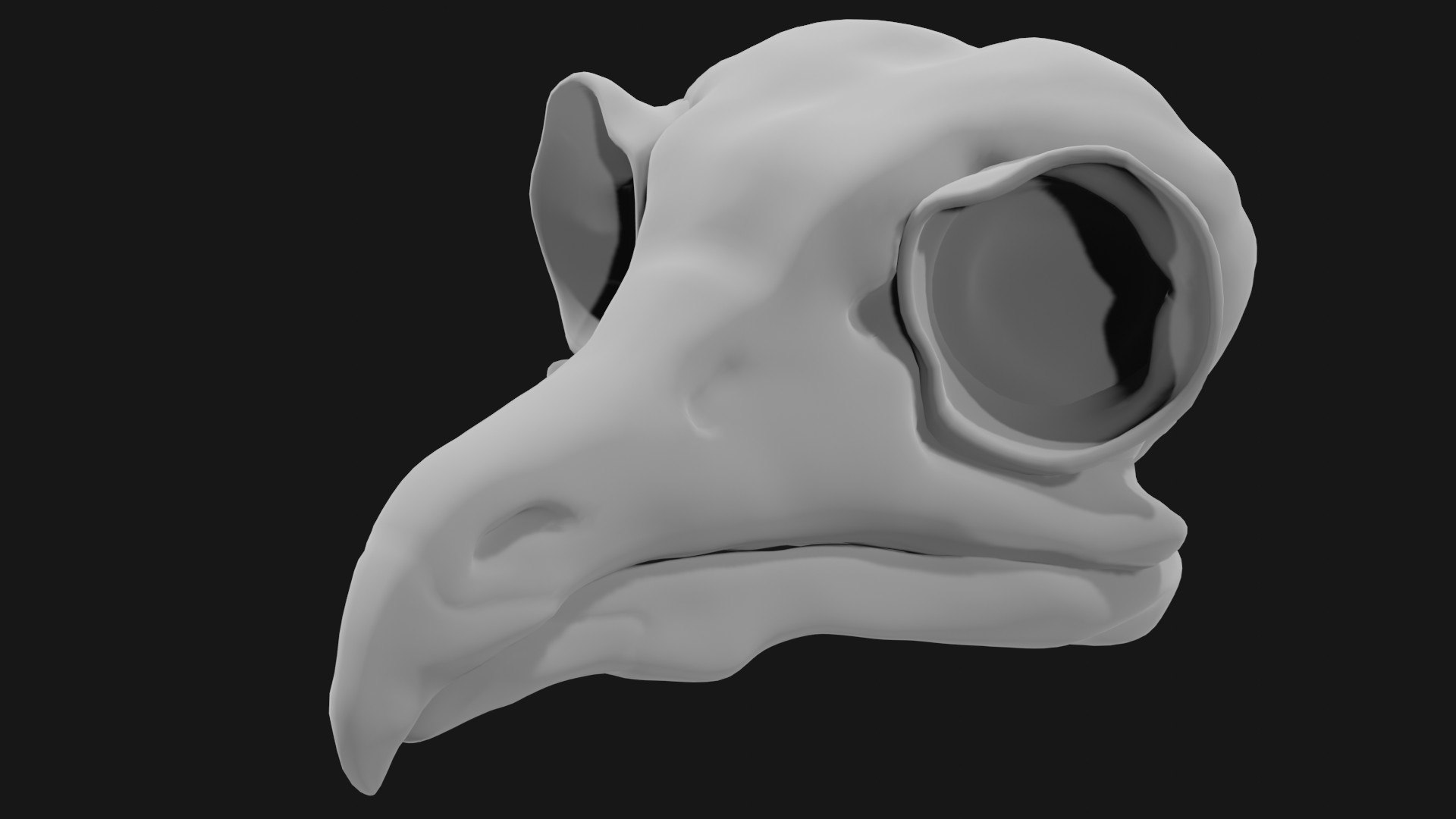 3D Owl Skull - TurboSquid 1964807