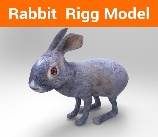 Rabbit 3D Models for Download | TurboSquid