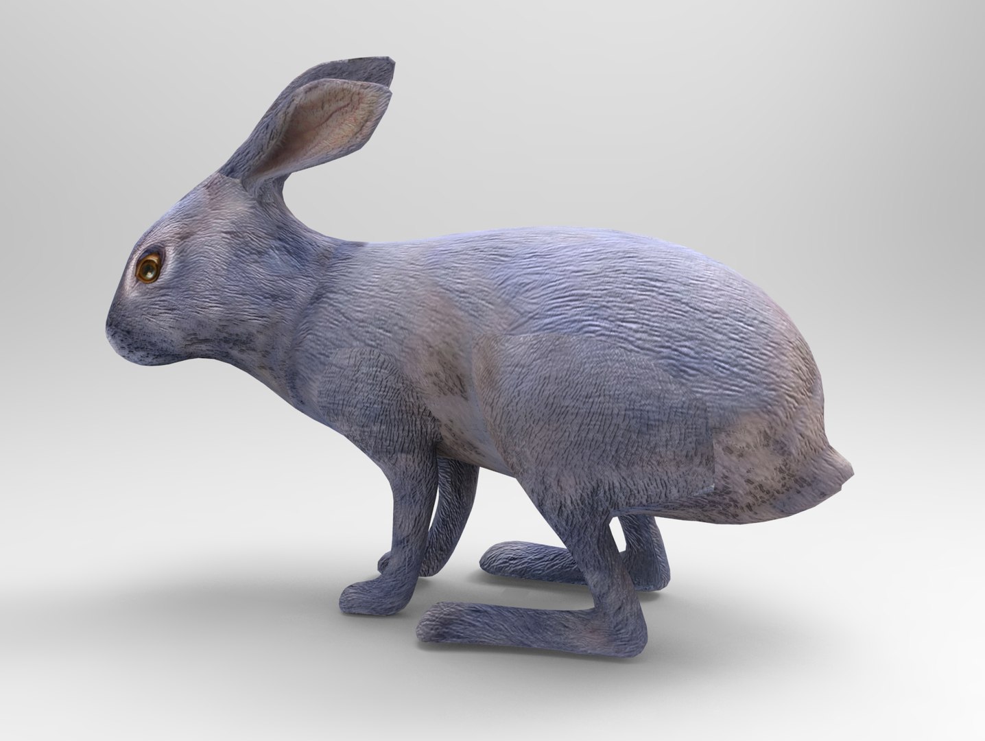 Rabbit Rigged 3D - TurboSquid 1198715