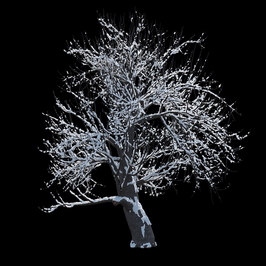 3D Winter Tree 06 - TurboSquid 1224216