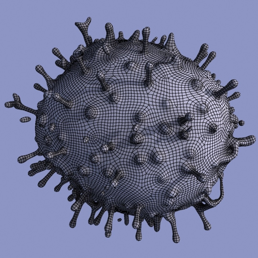 3d Bornavirus