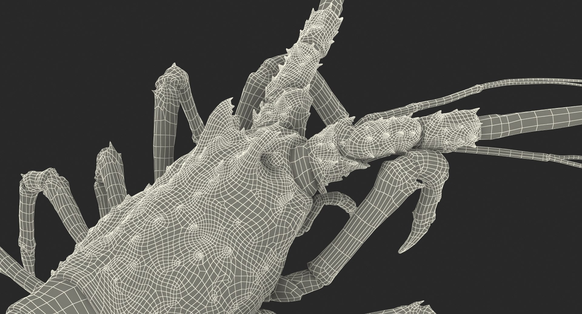 3d model spiny lobster