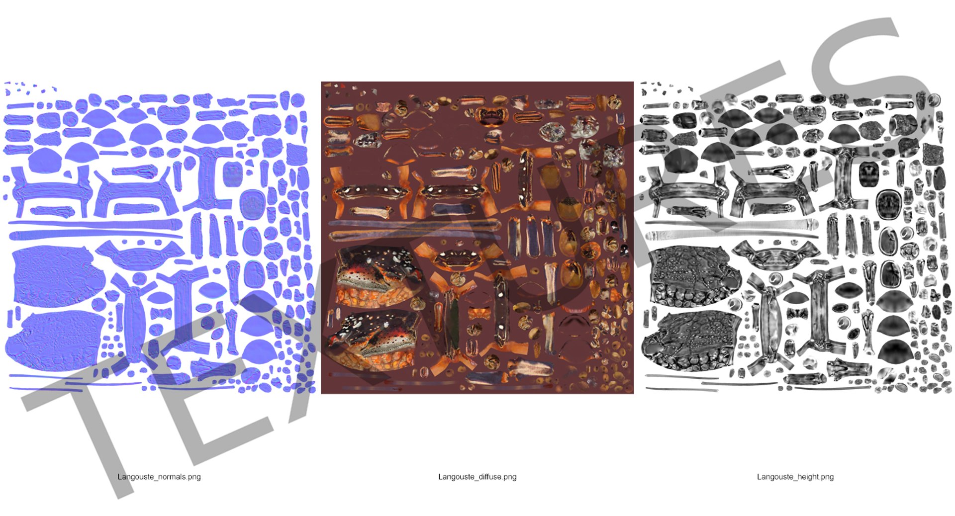 3d model spiny lobster