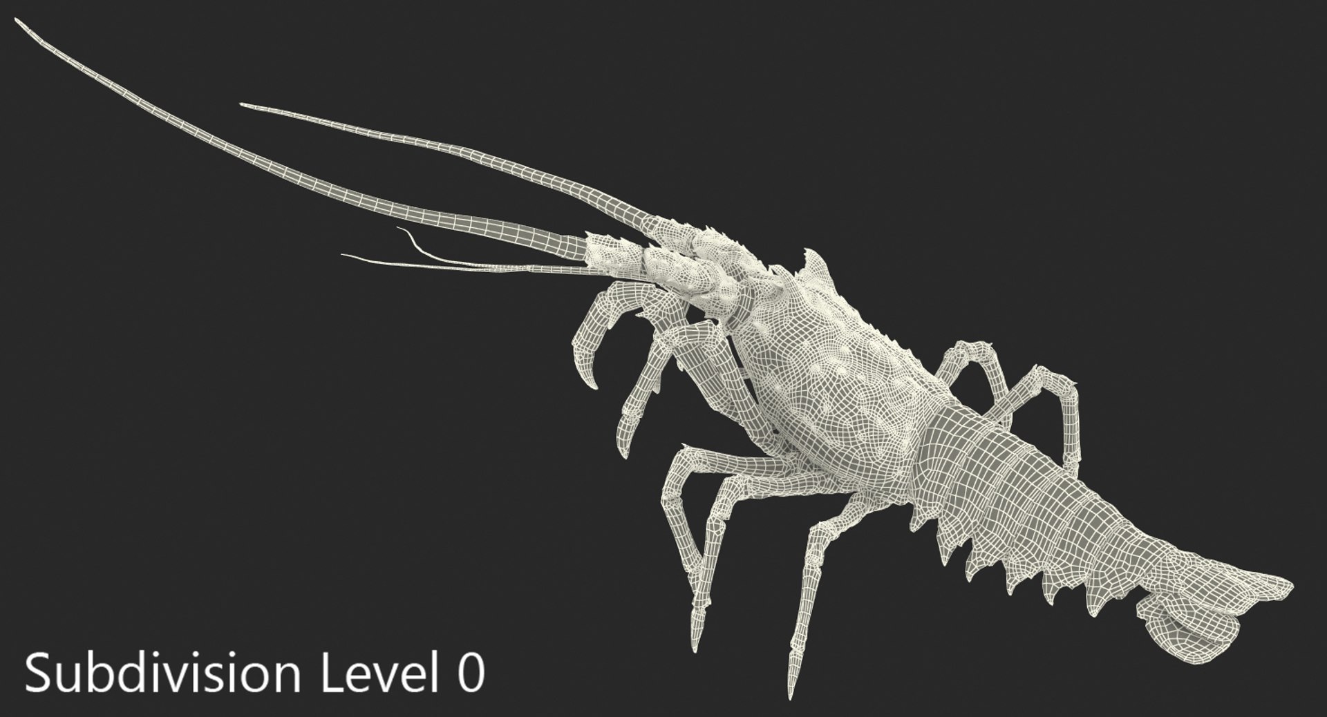 3d model spiny lobster
