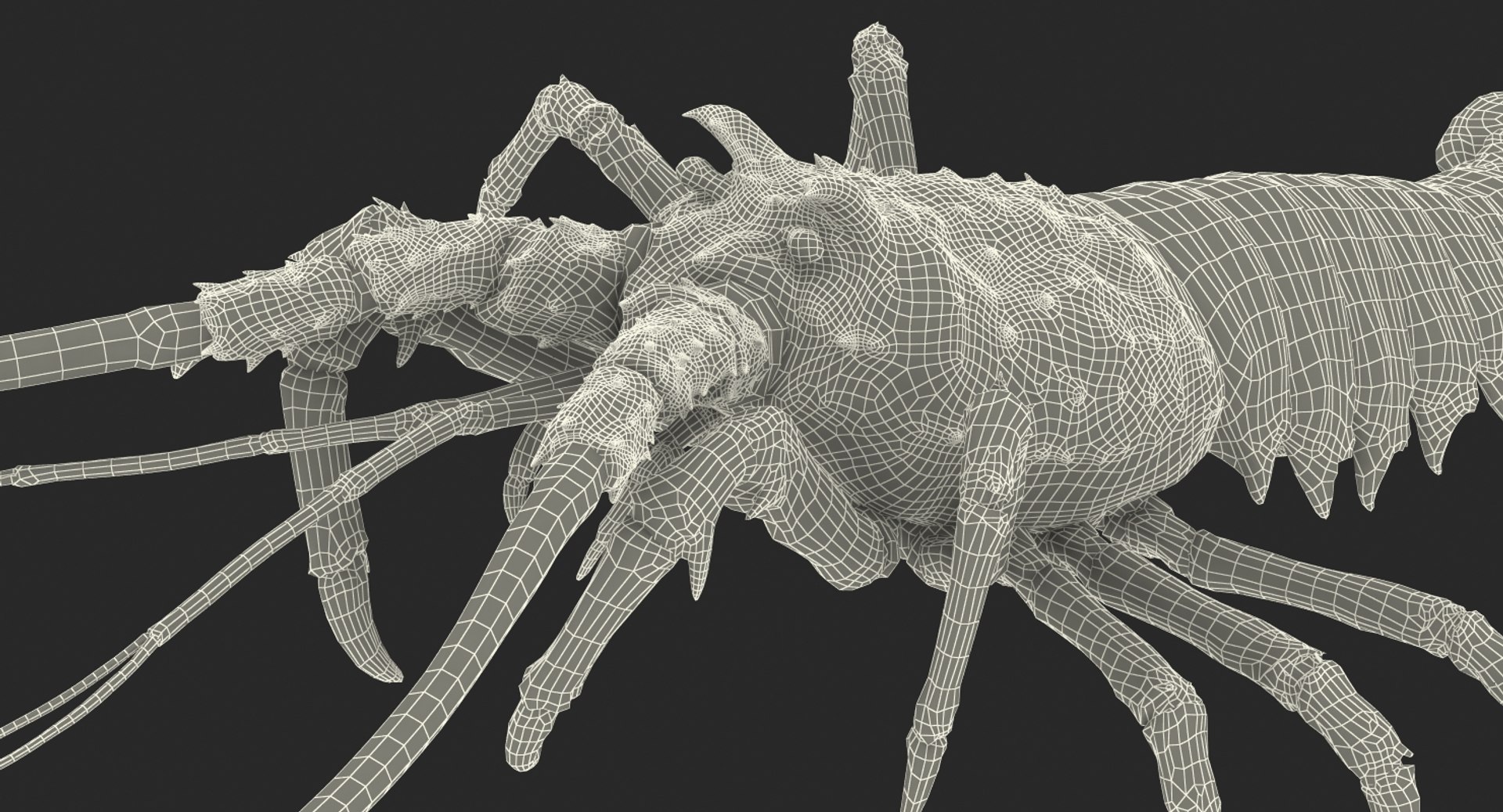 3d model spiny lobster