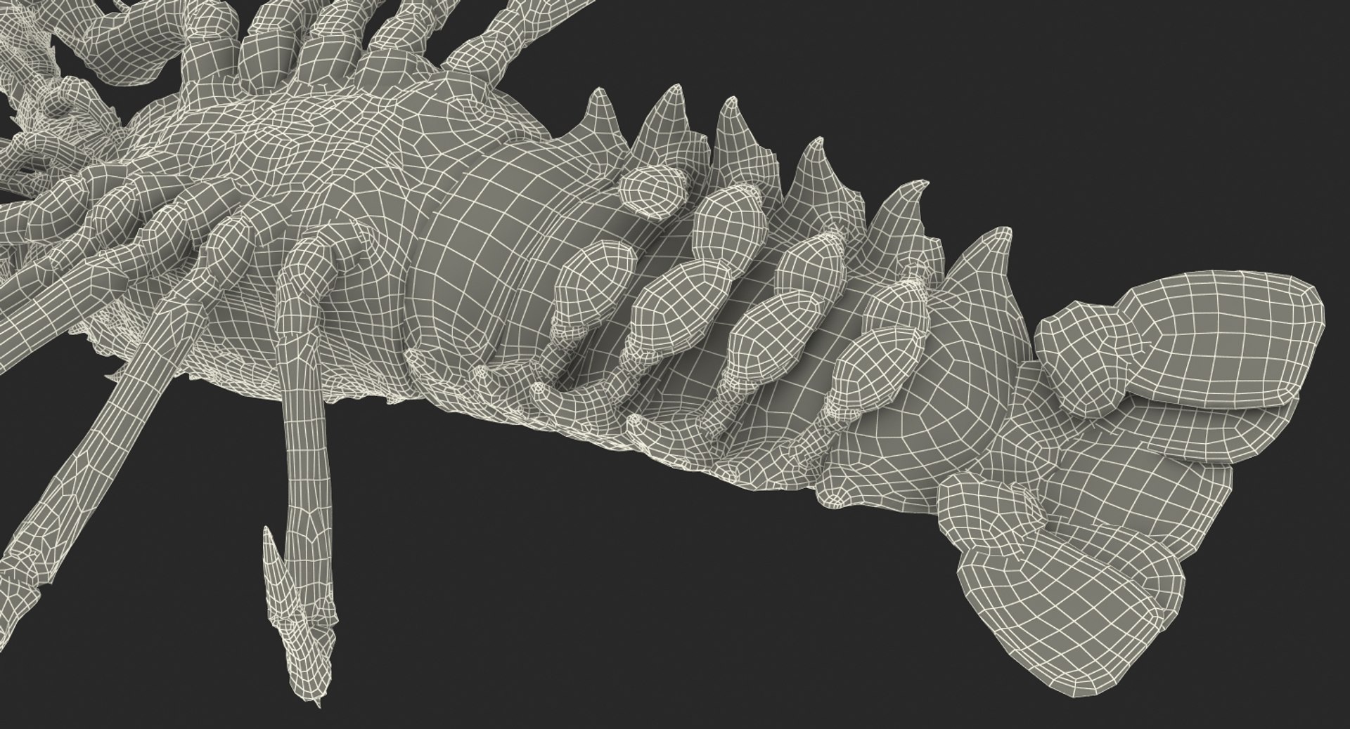 3d model spiny lobster
