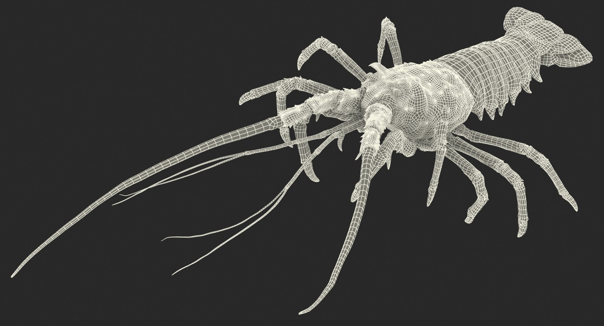 3d model spiny lobster