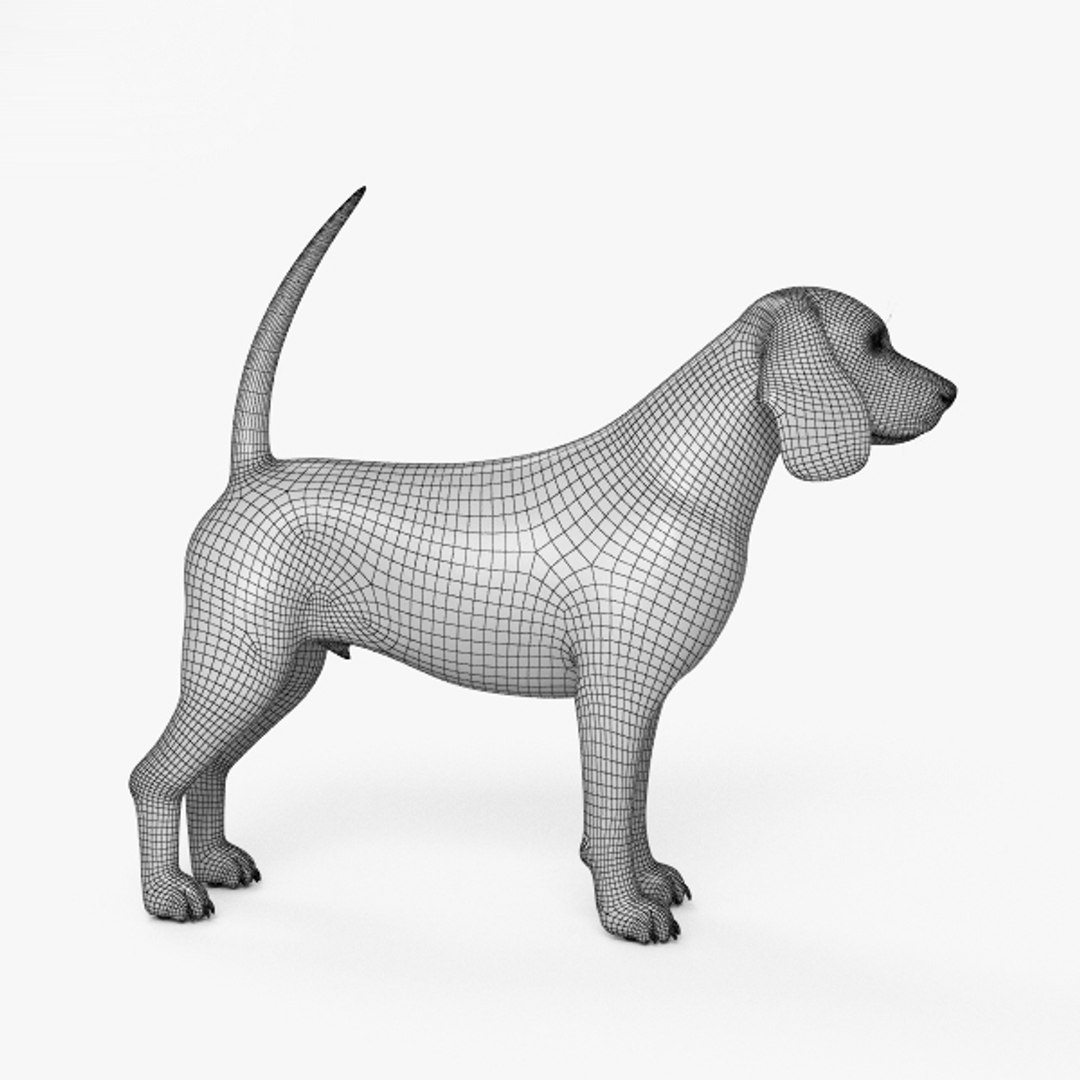 Beagle 3D - TurboSquid 1491006