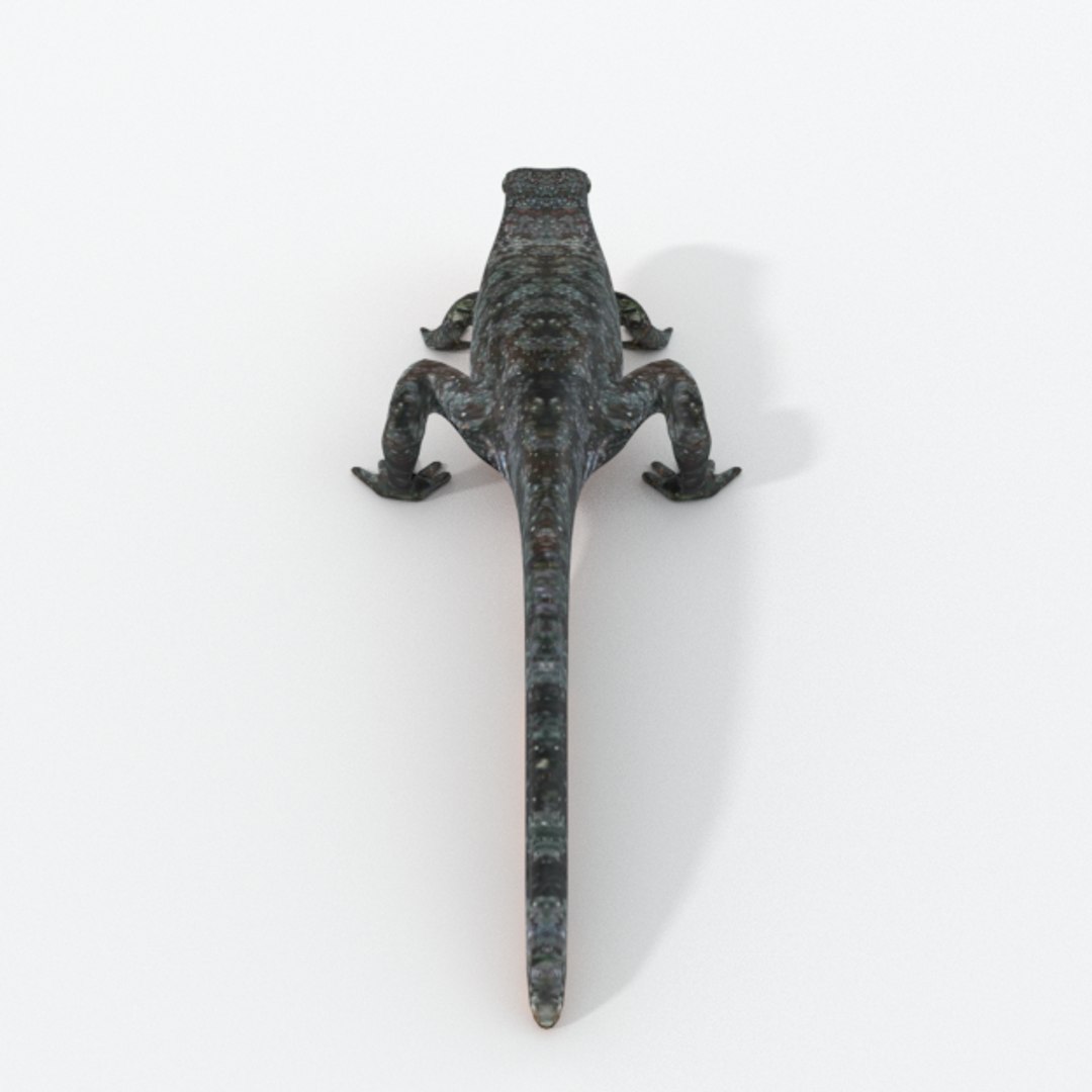 Alpine Newt Model - TurboSquid 1340460