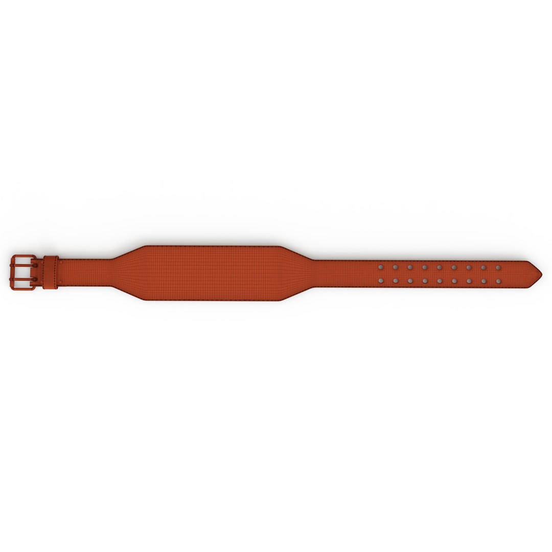 3d Weight Belt Cardillo