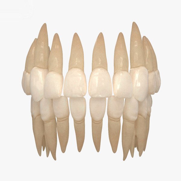 Anatomy 3D Models for Download | TurboSquid