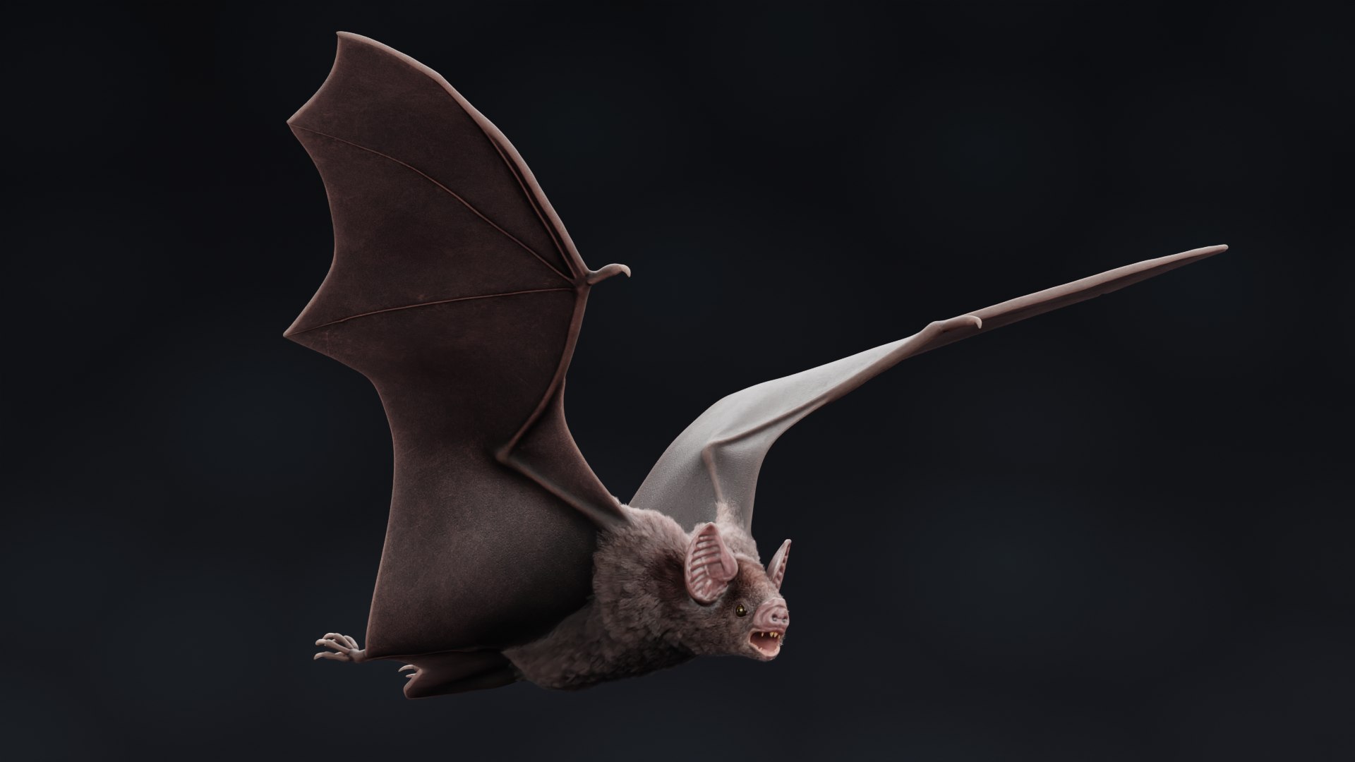 3D Vampire Bat Rigged - TurboSquid 1803929