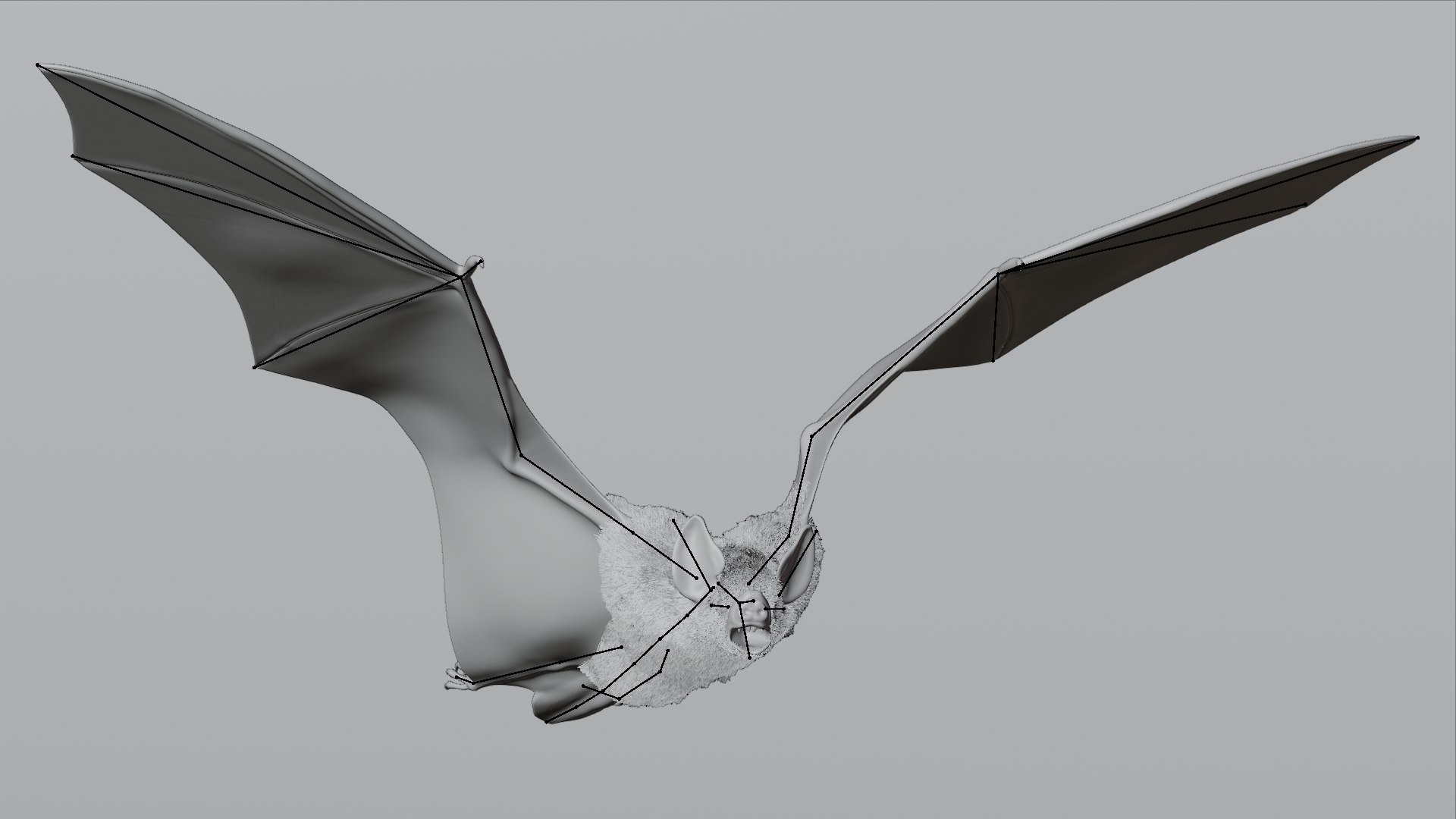 3D Vampire Bat Rigged - TurboSquid 1803929