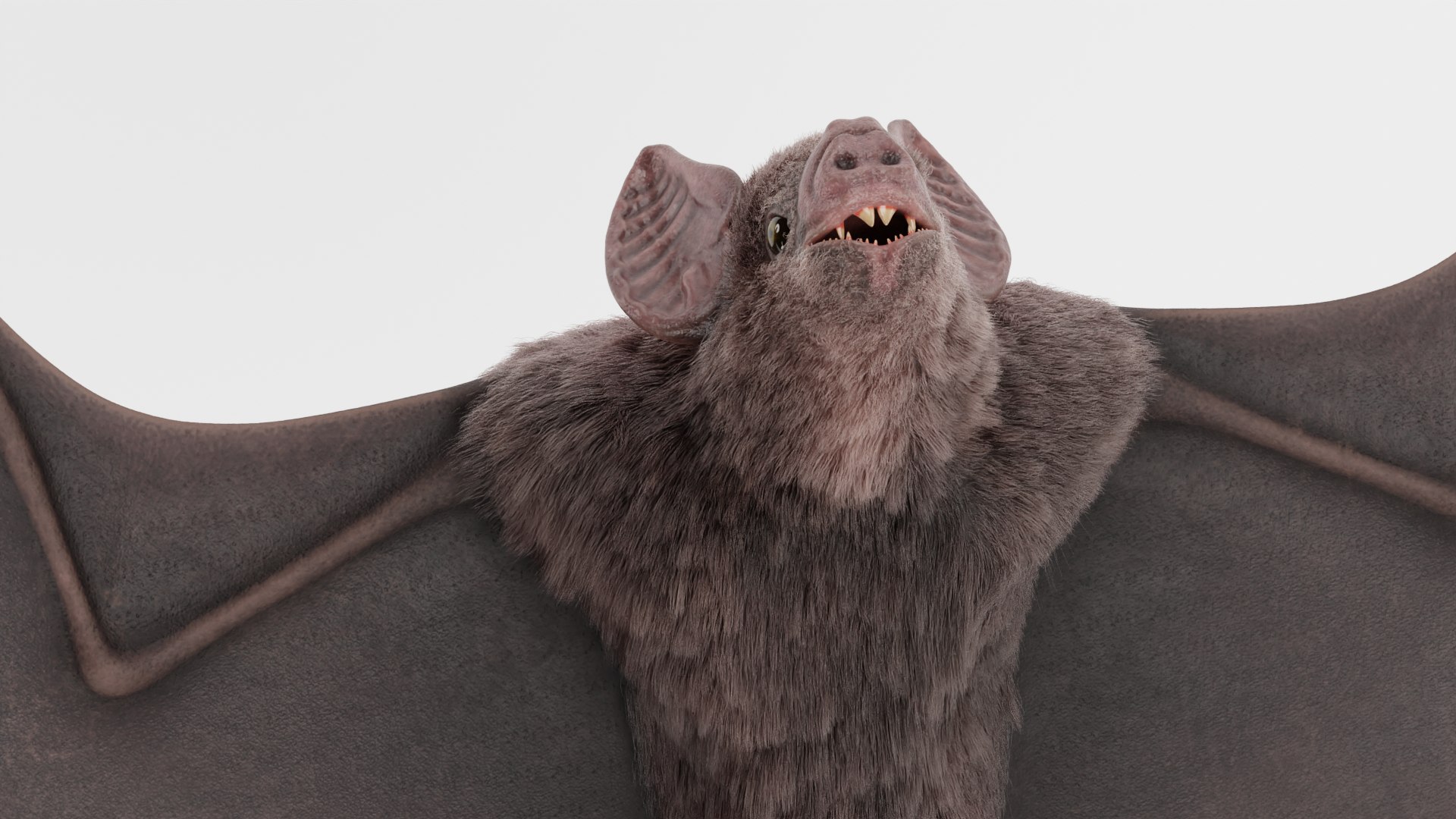 3D Vampire Bat Rigged - TurboSquid 1803929