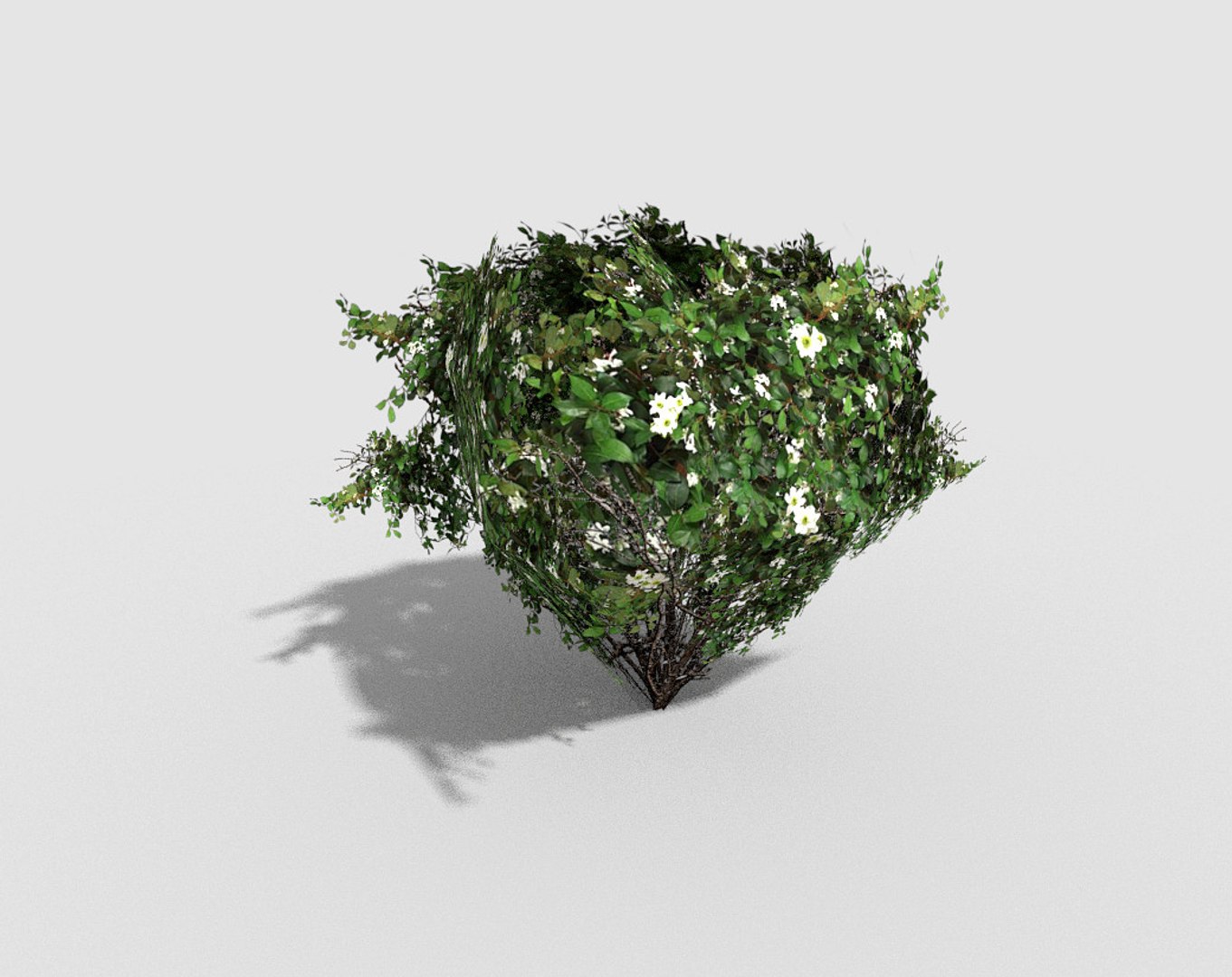 Shrub Games 3d Model