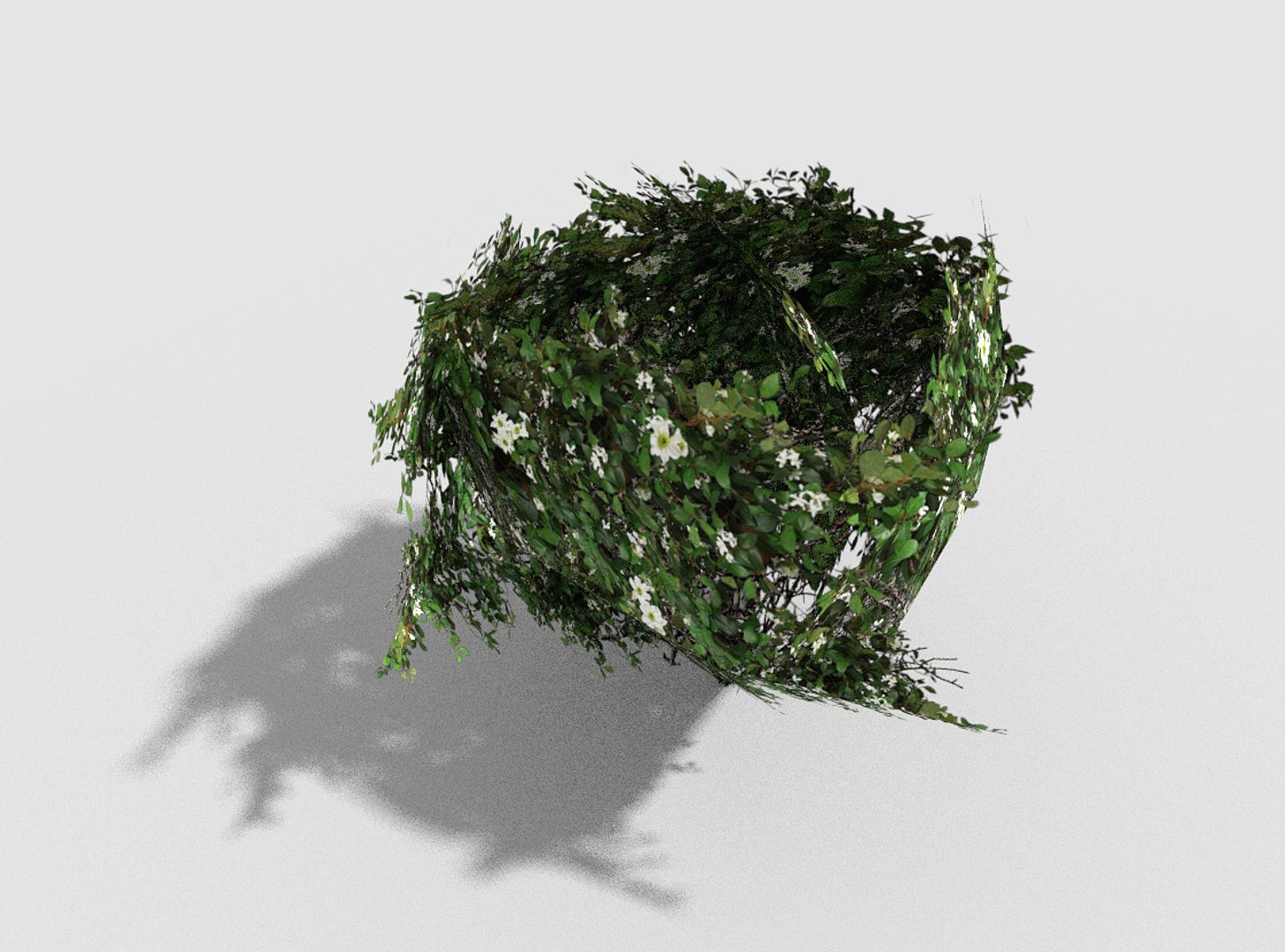 Shrub Games 3d Model