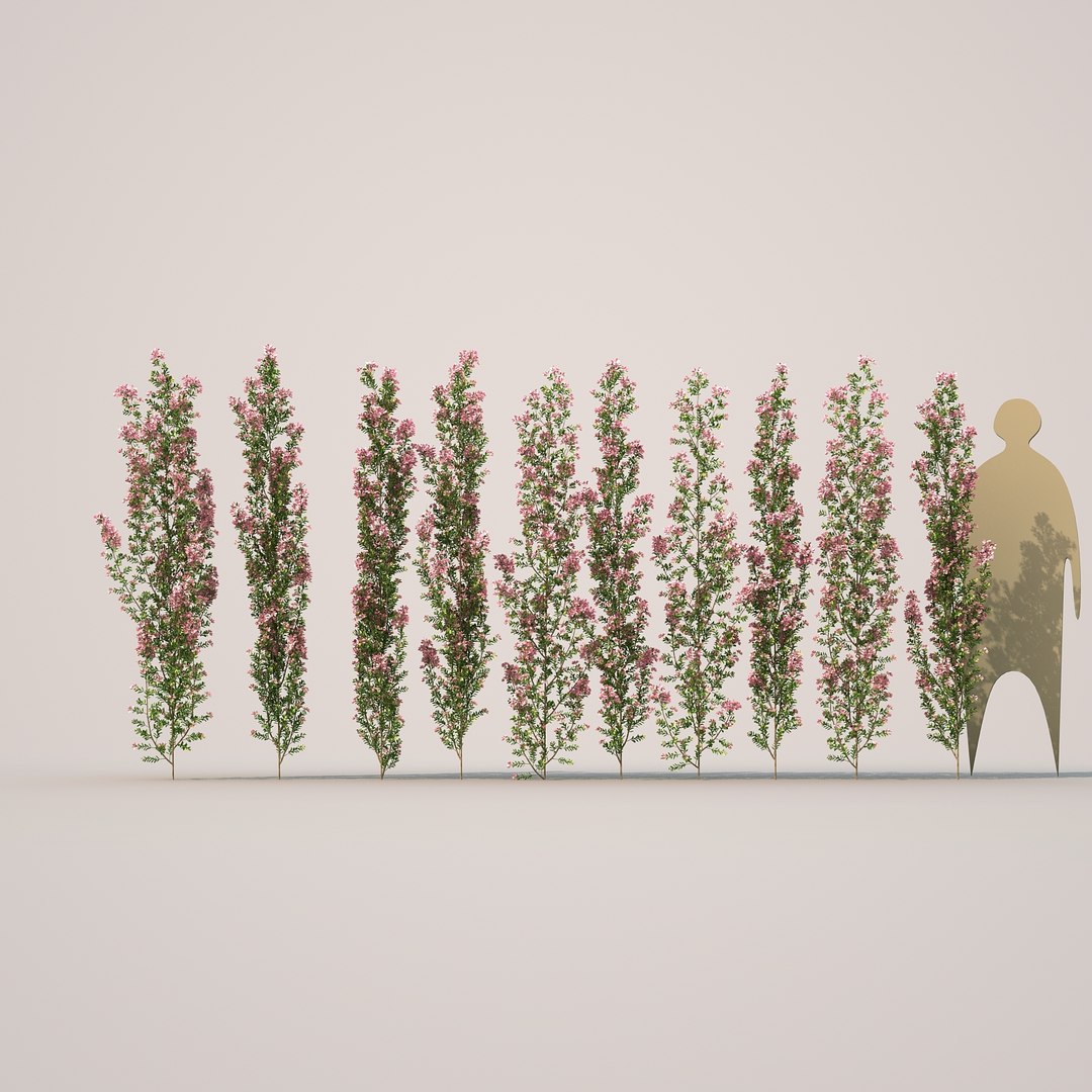 Tree scatter 3D - TurboSquid 1167871