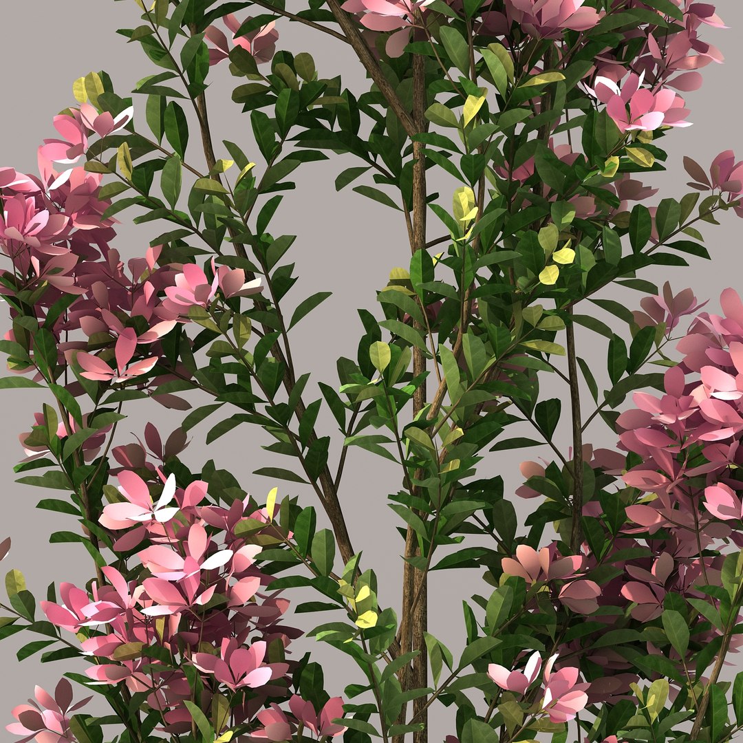 Tree scatter 3D - TurboSquid 1167871