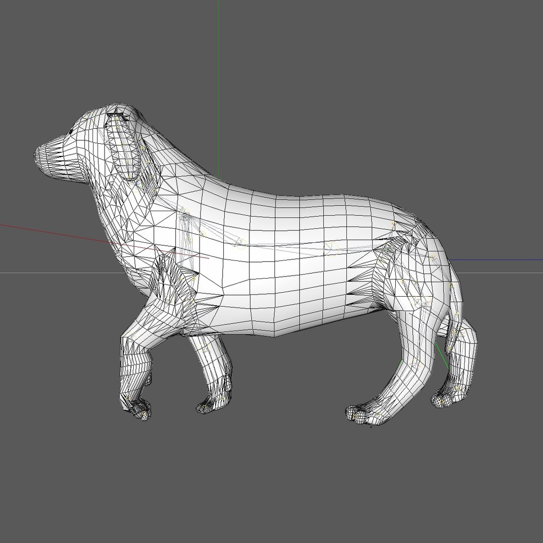 3d Model Golden Retriever Dog Animations