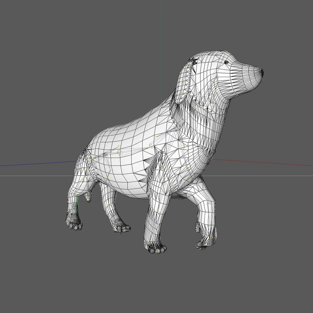 3d Model Golden Retriever Dog Animations
