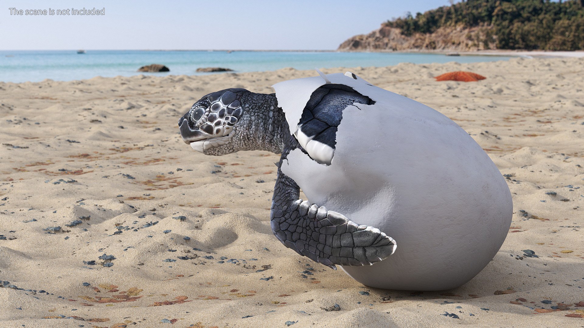 3D Baby Sea Turtle Hatching - TurboSquid 2201848