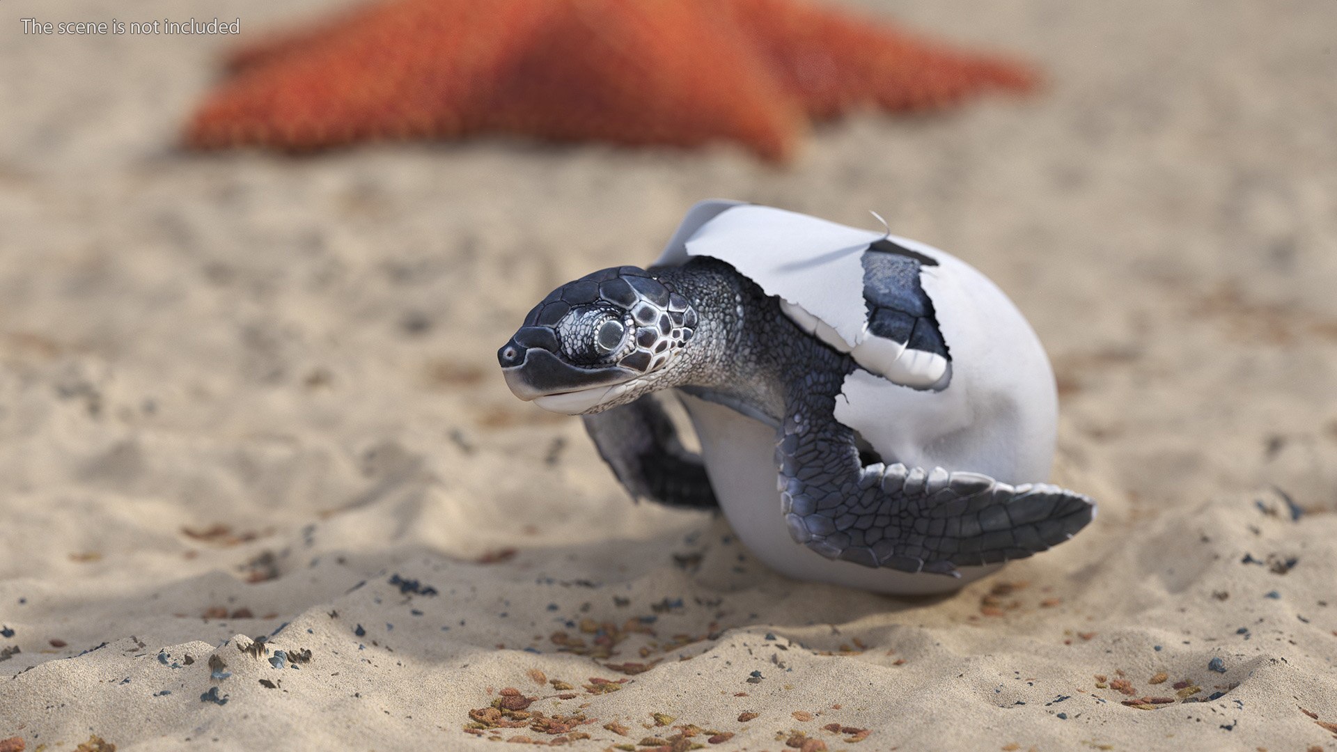 3D Baby Sea Turtle Hatching - TurboSquid 2201848