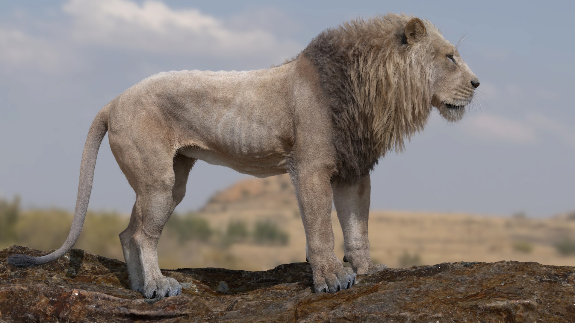 3D Model Lion ANIMATION - TurboSquid 2205979