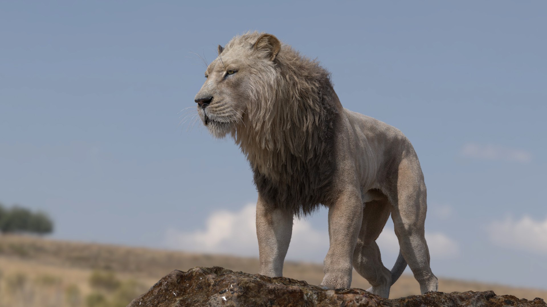 3D Model Lion ANIMATION - TurboSquid 2205979