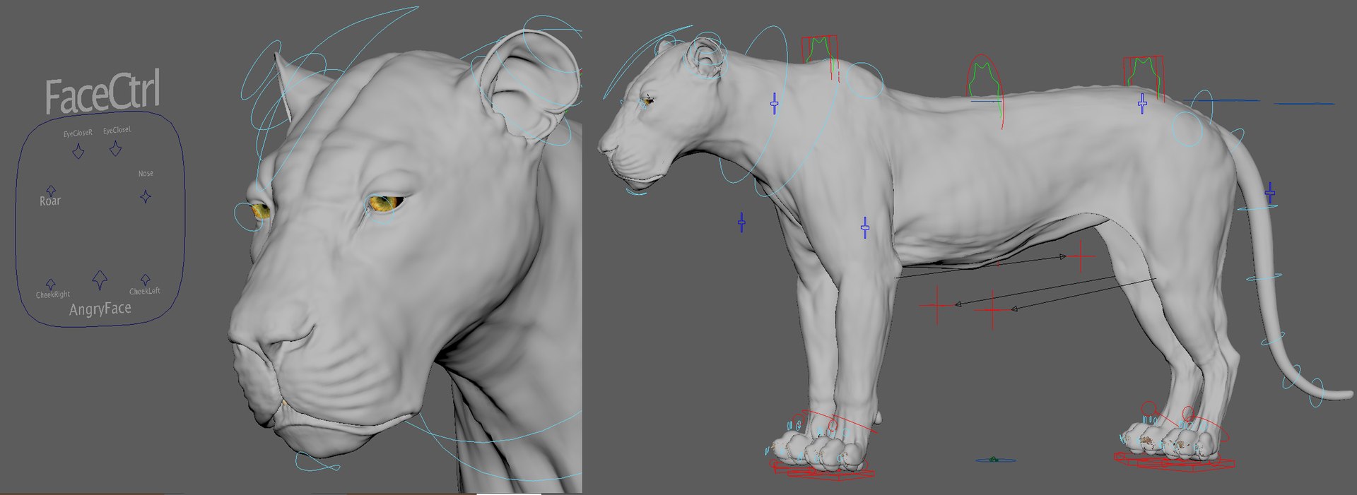 3D Model Lion ANIMATION - TurboSquid 2205979