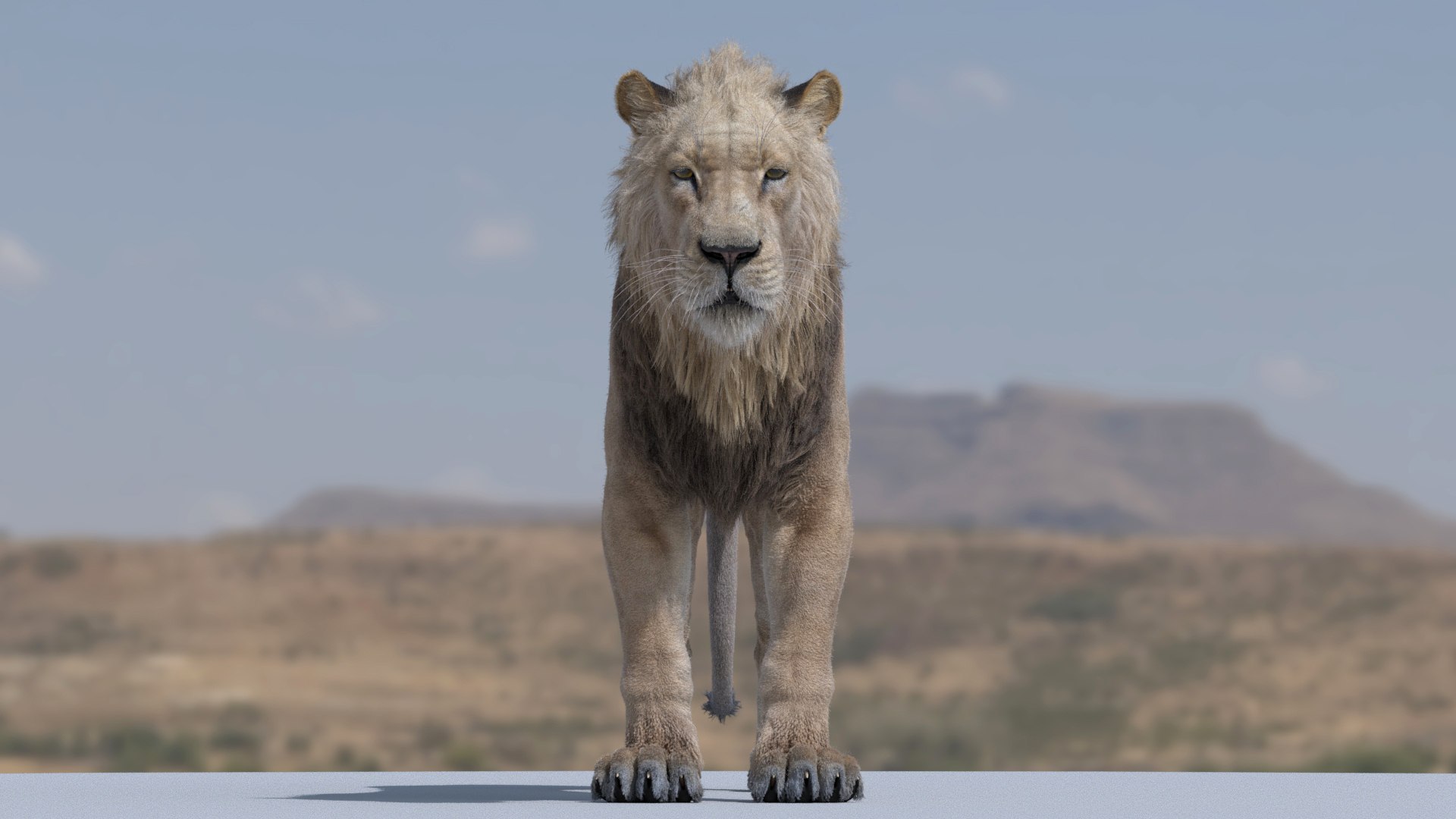 3D Model Lion ANIMATION - TurboSquid 2205979