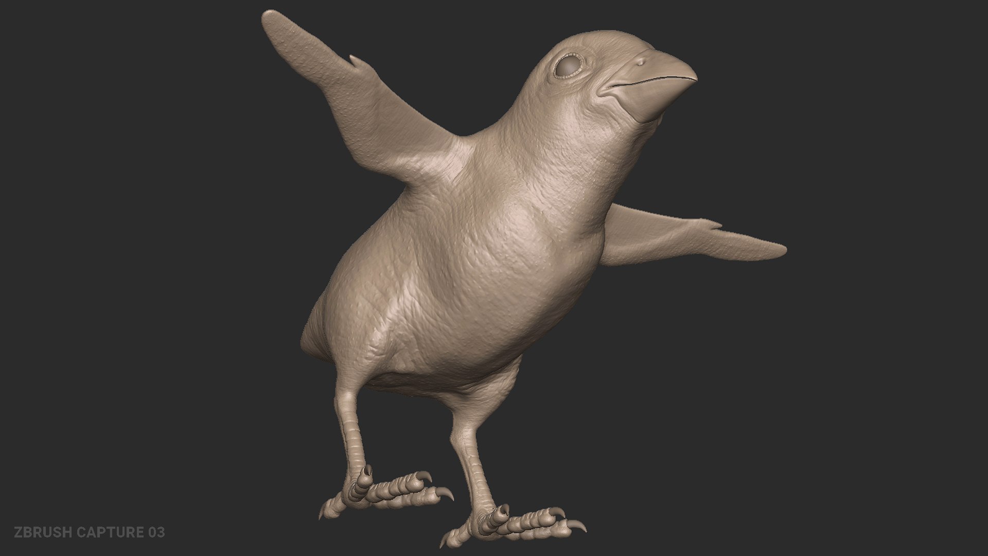 3D Canary Model - TurboSquid 2199049