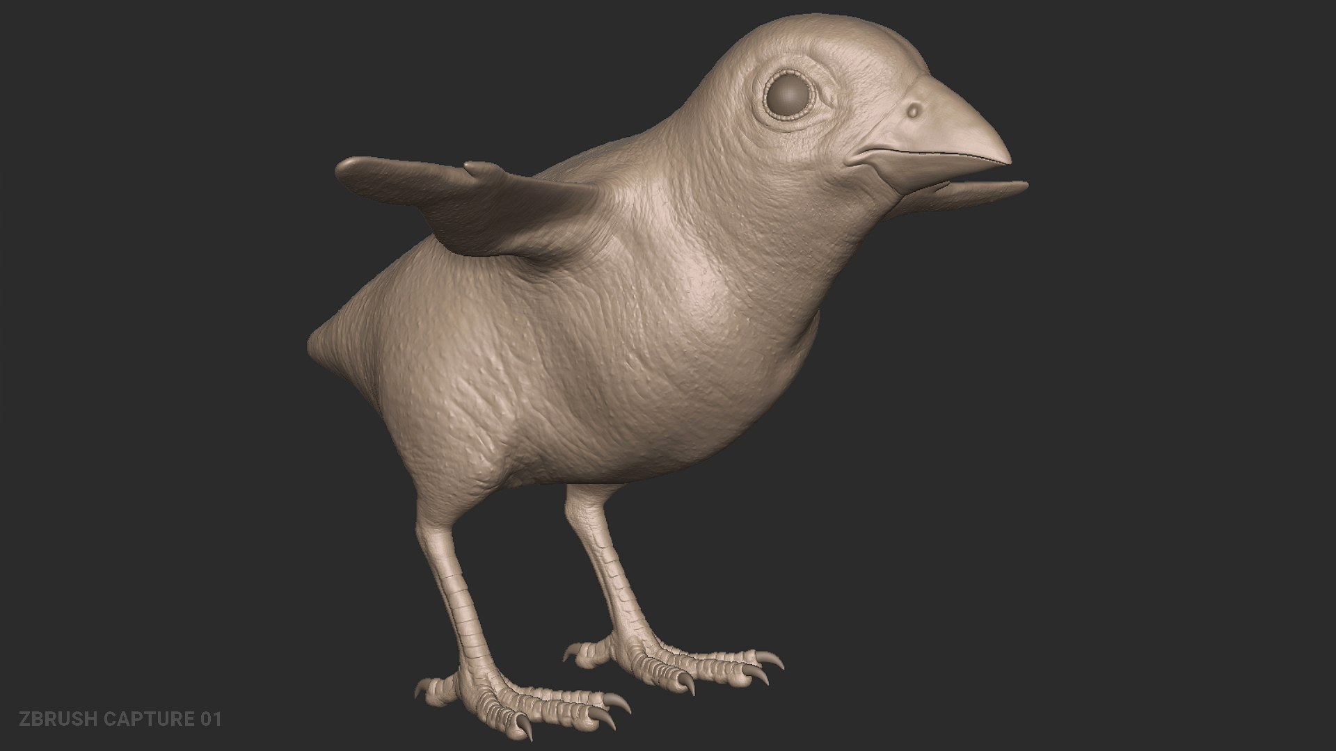 3D Canary Model - TurboSquid 2199049