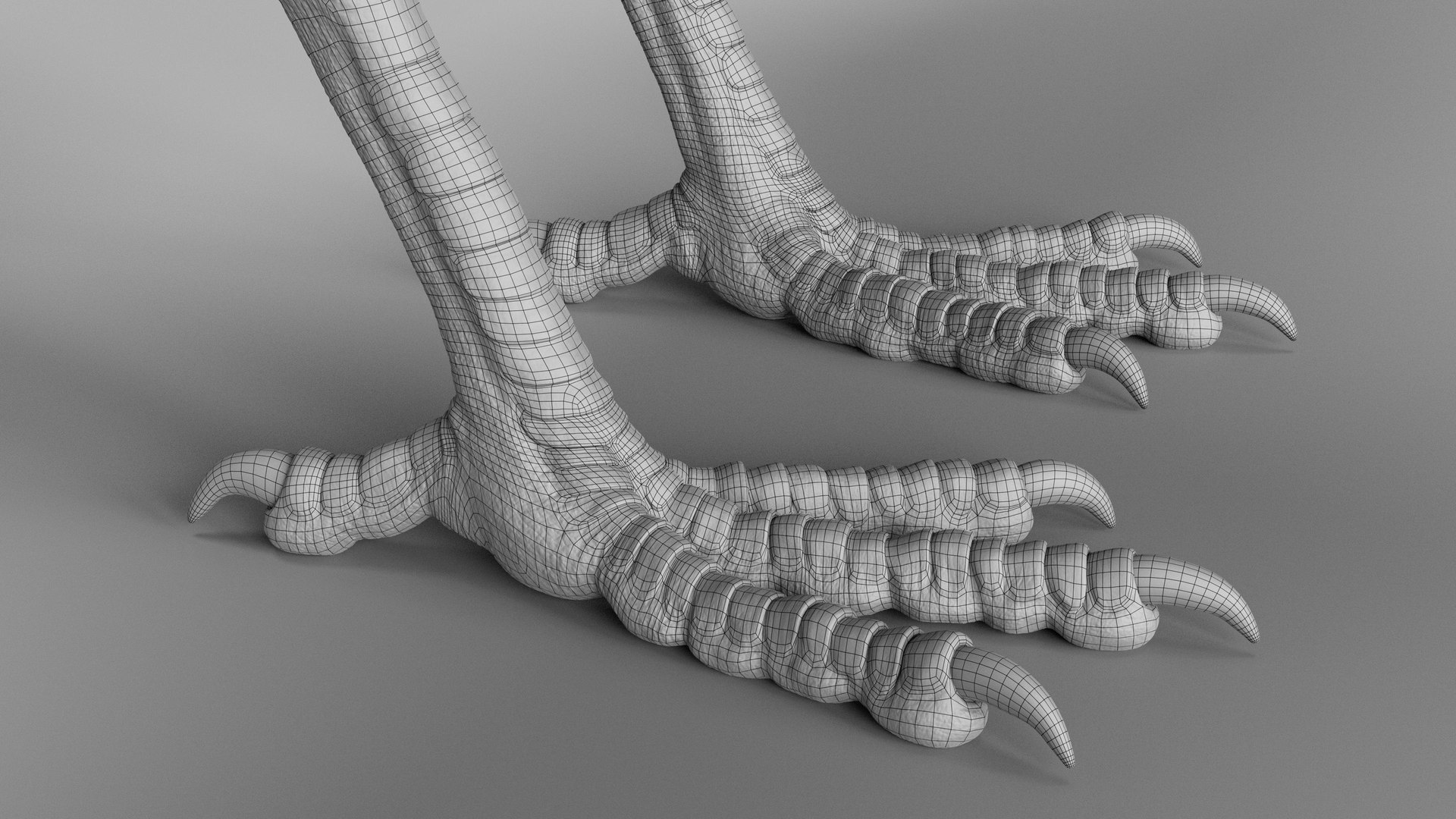 3D Canary Model - TurboSquid 2199049