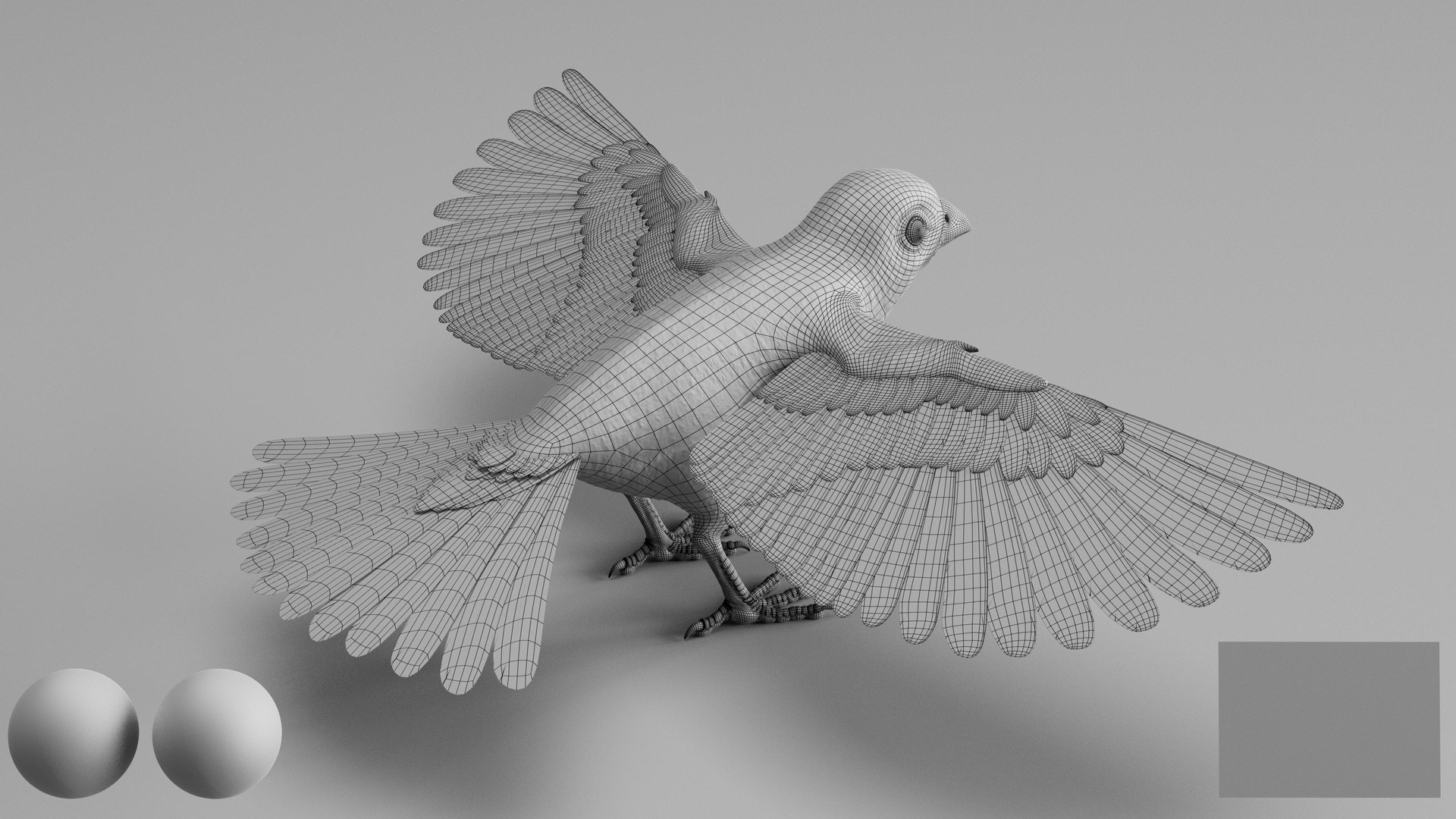 3D Canary Model - TurboSquid 2199049