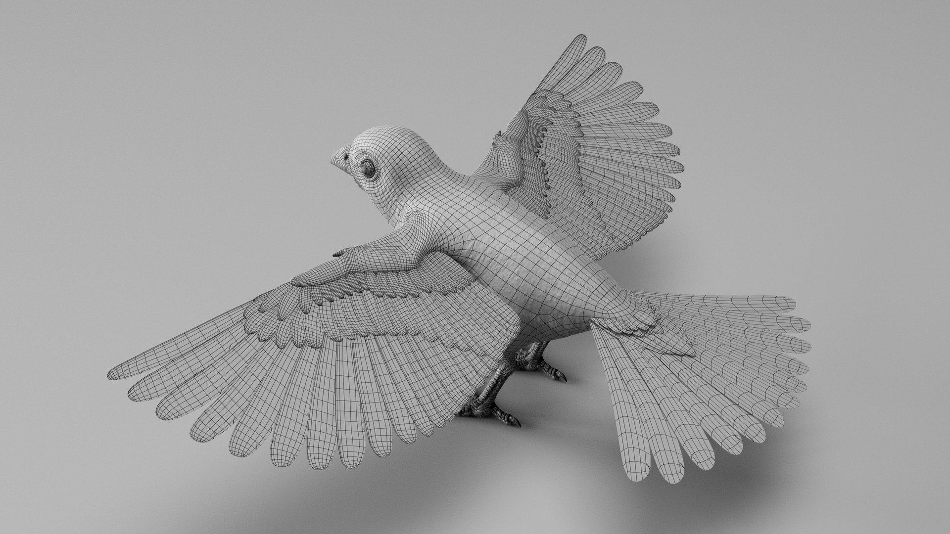 3D Canary Model - TurboSquid 2199049