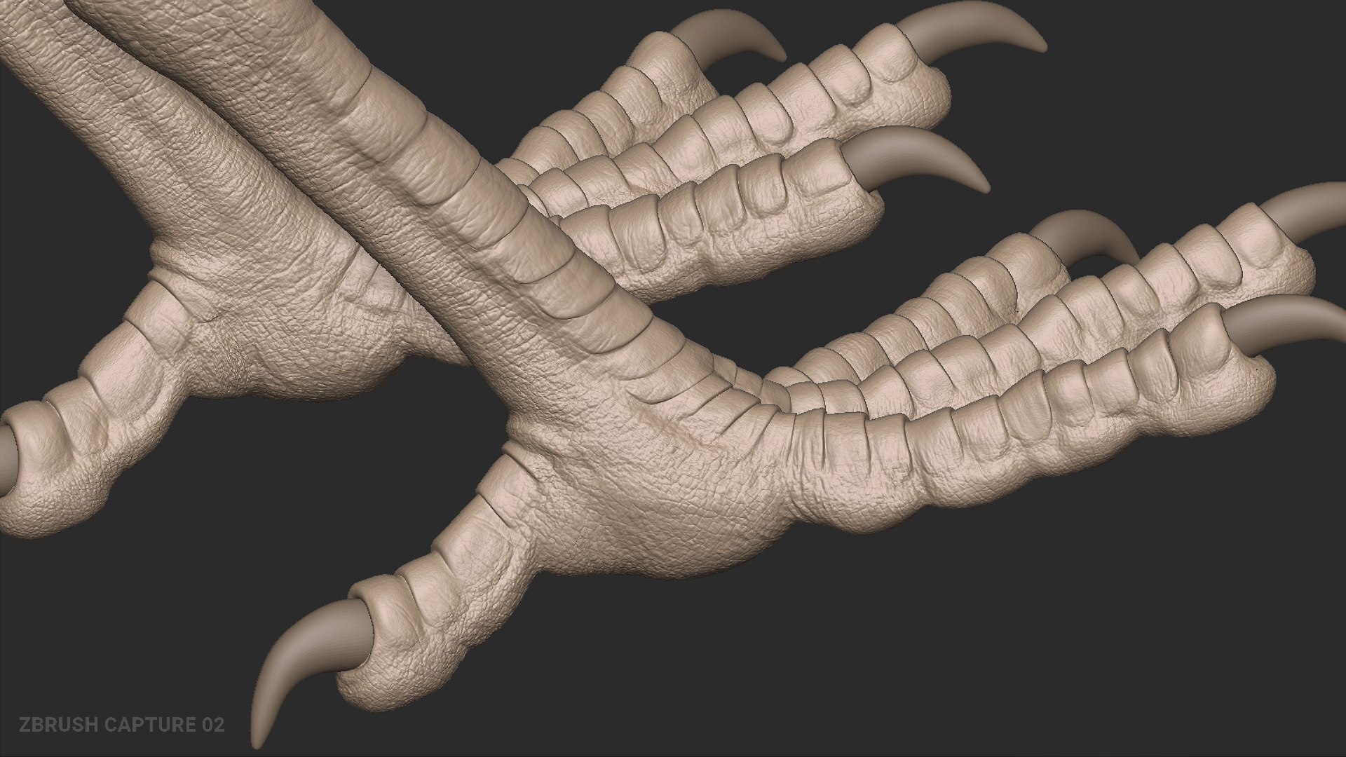 3D Canary Model - TurboSquid 2199049