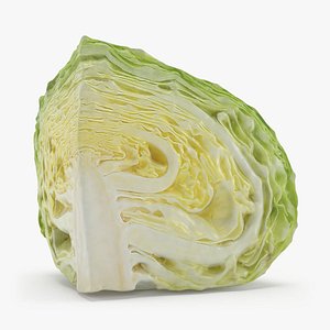 3D Cabbage Models - Browse & Download Formats - TurboSquid