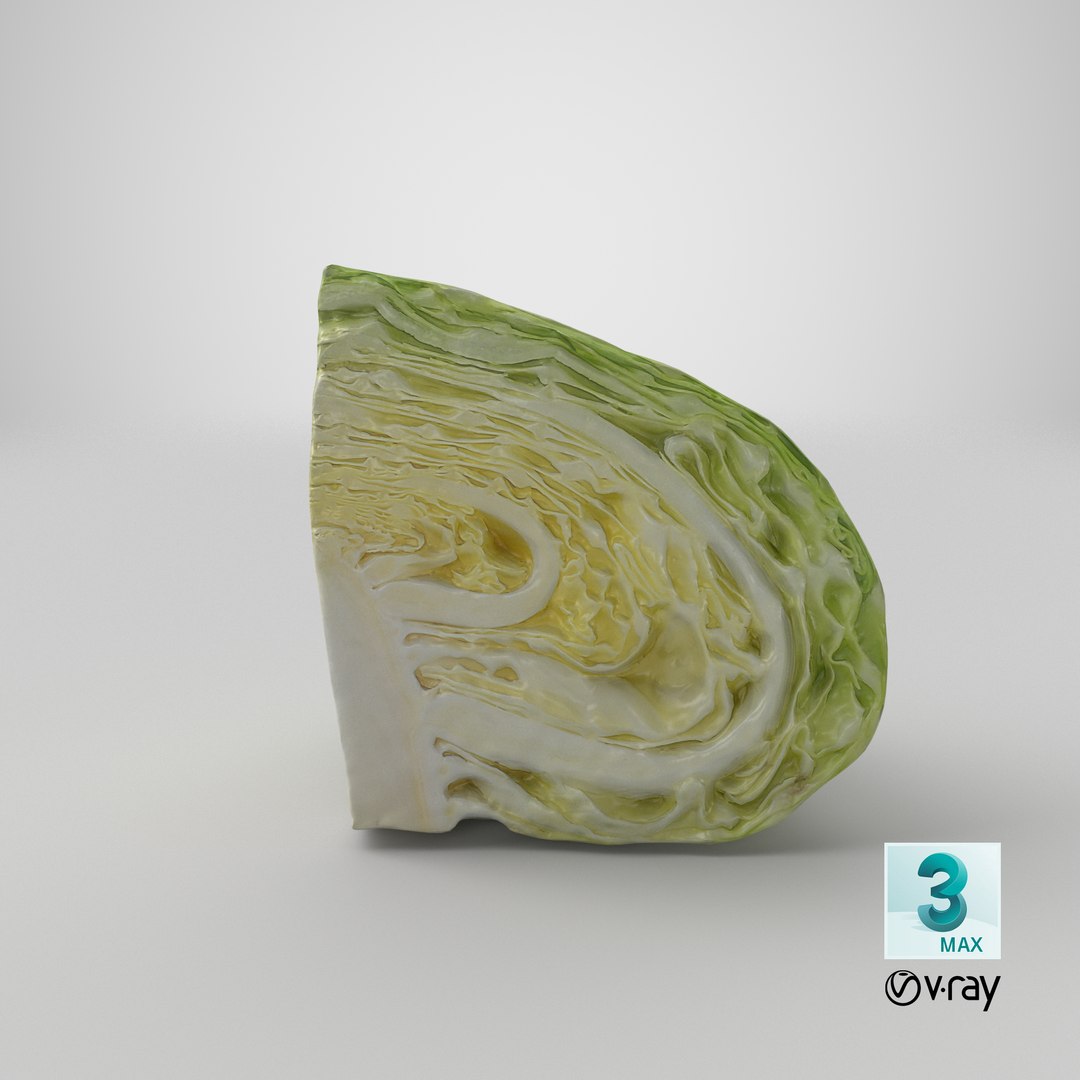 3D Flat Cabbage Slice - TurboSquid 2106384