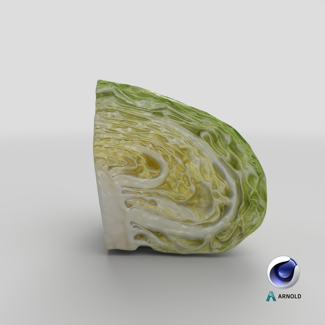 3D Flat Cabbage Slice - TurboSquid 2106384