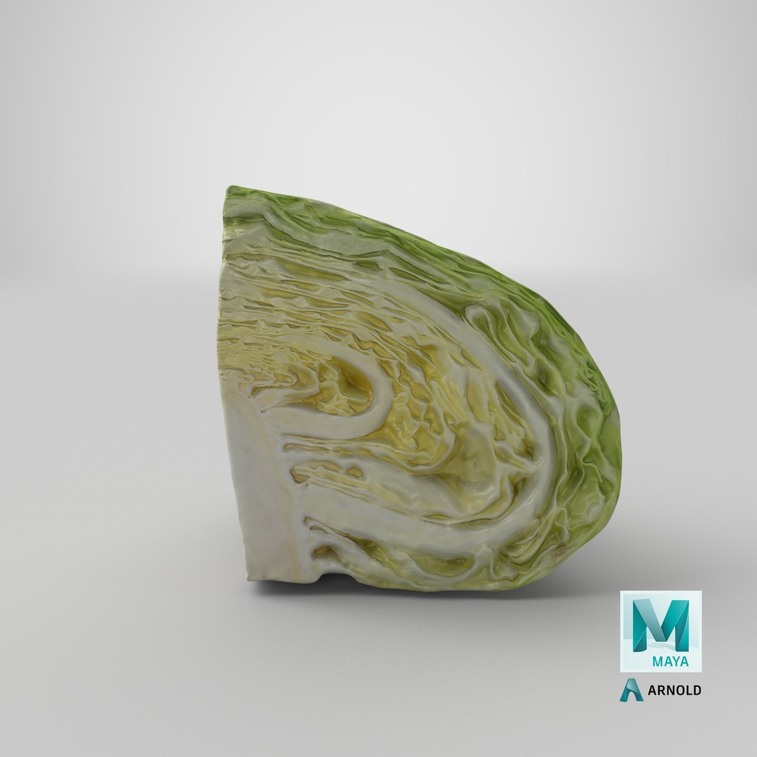 3D Flat Cabbage Slice - TurboSquid 2106384
