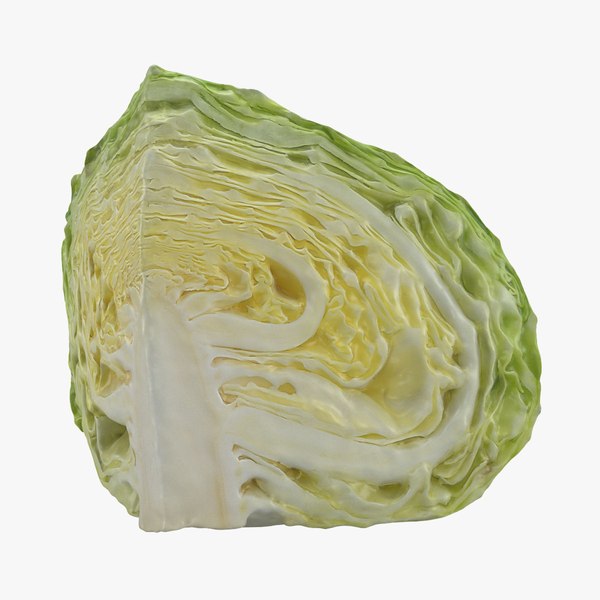 modèle 3D de Flat Cabbage Slice - TurboSquid 2106384