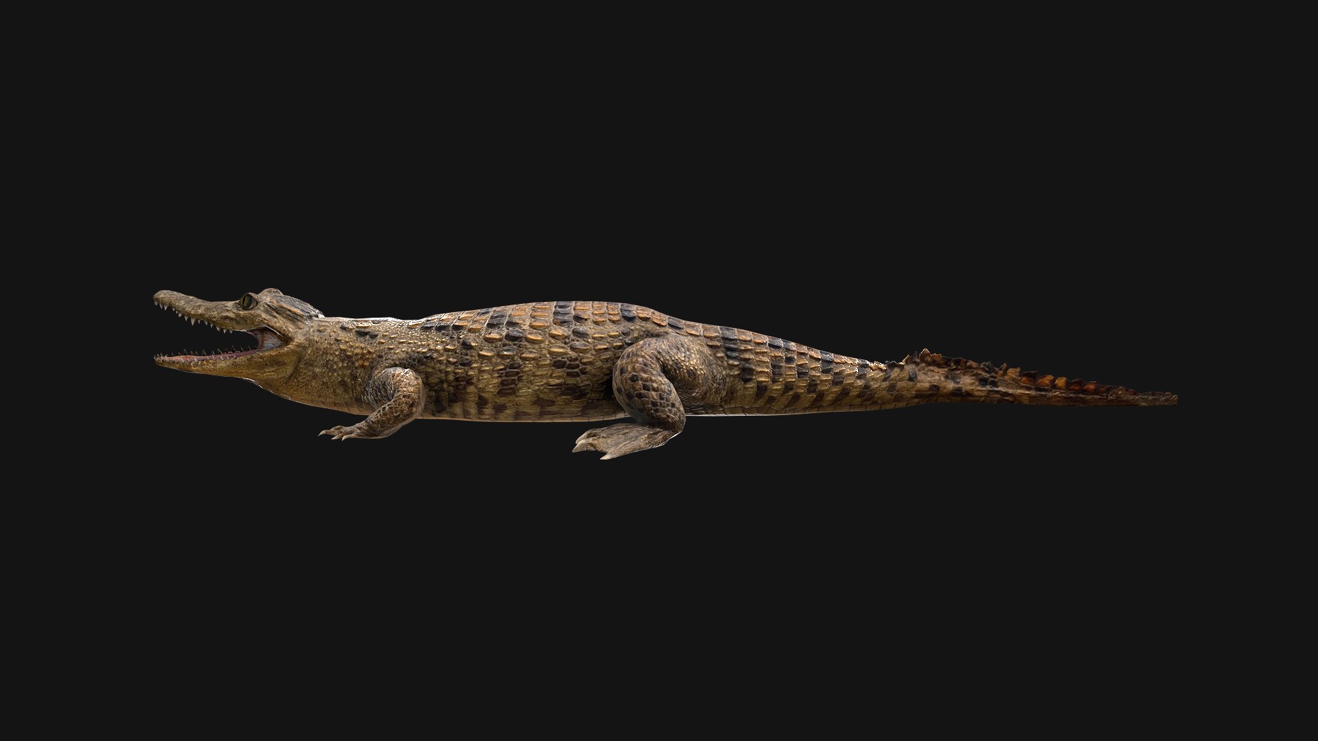 3D Model Crocodile - TurboSquid 2055445