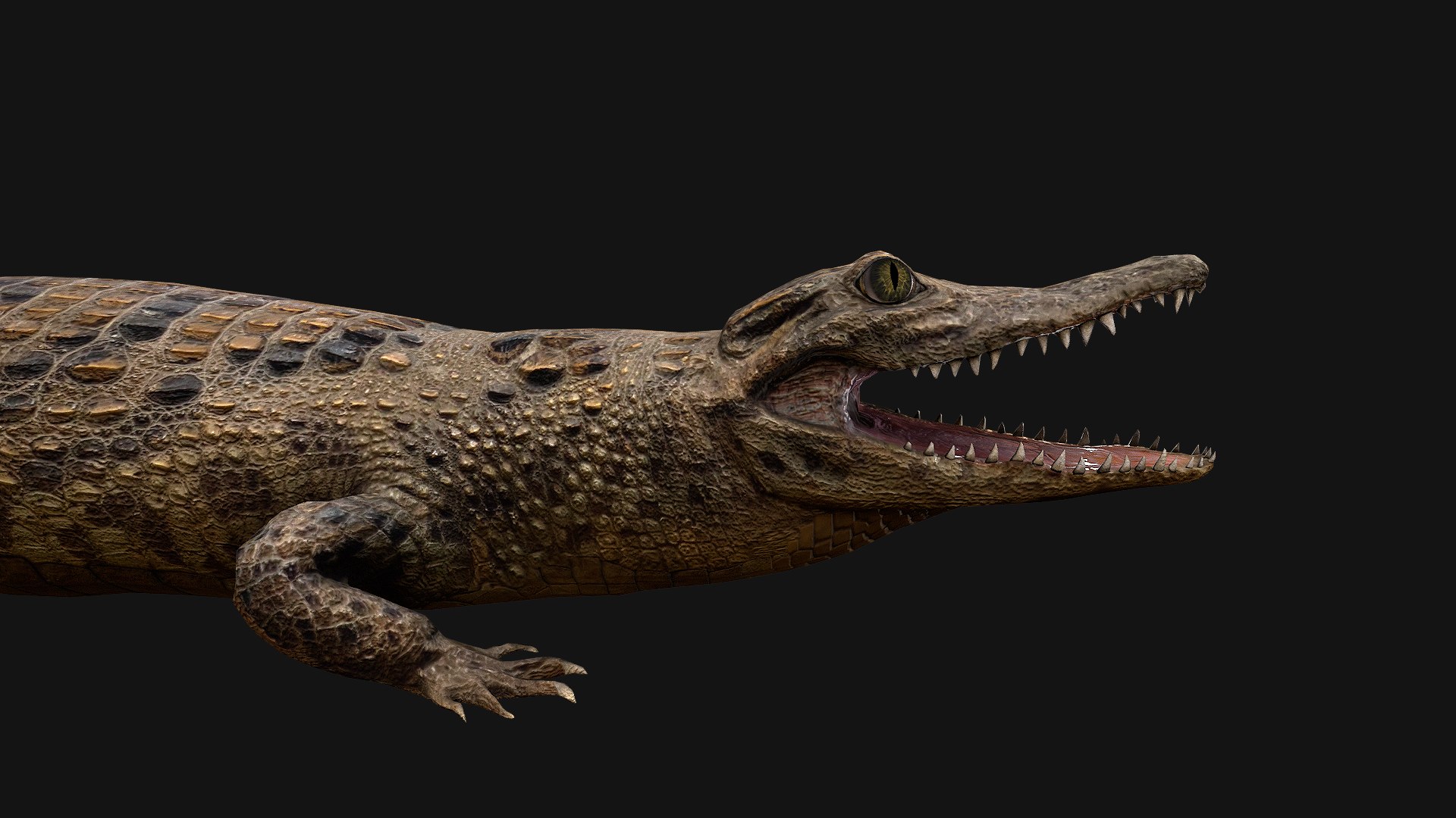 3D Model Crocodile - TurboSquid 2055445