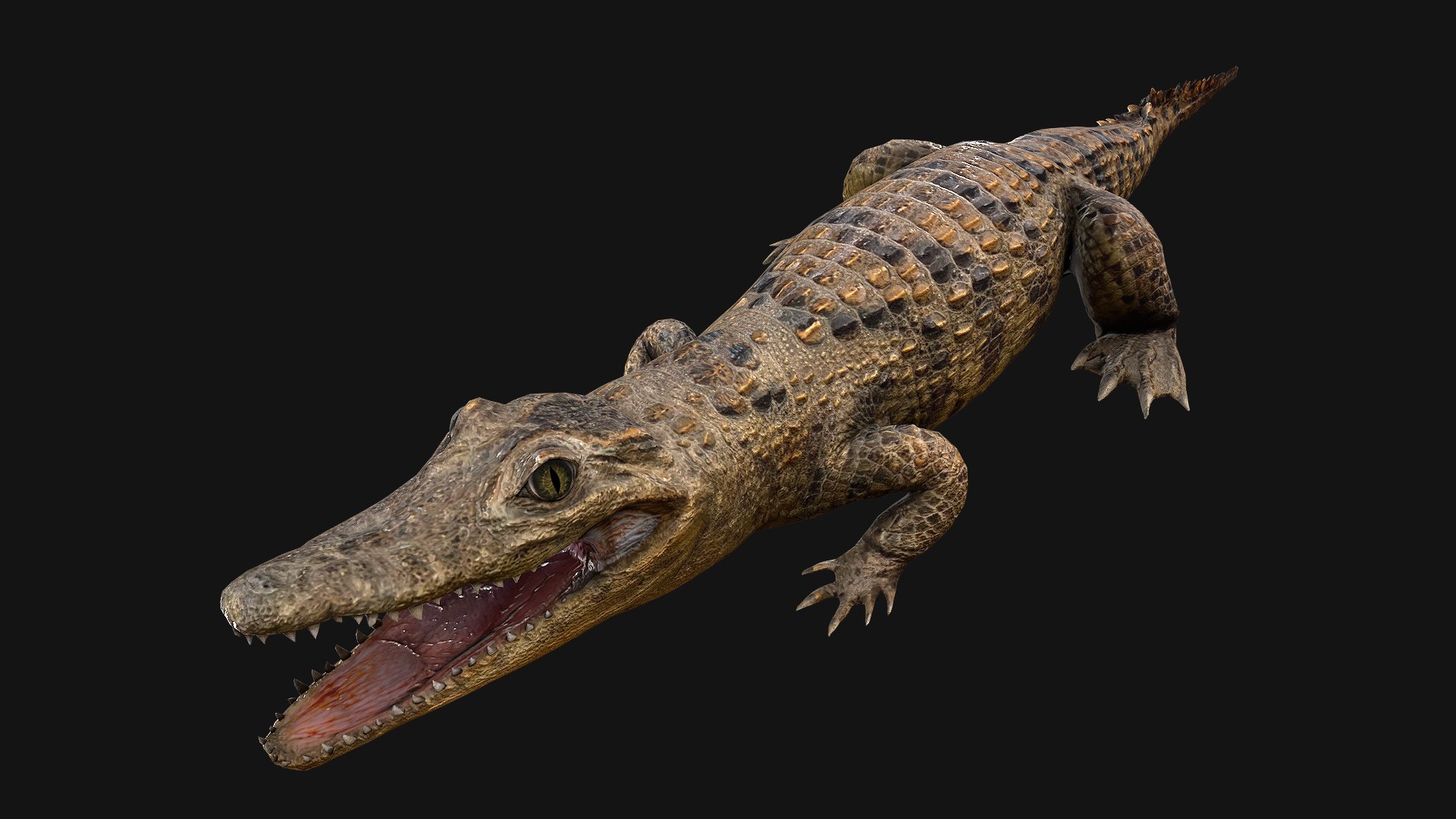 3D Model Crocodile - TurboSquid 2055445