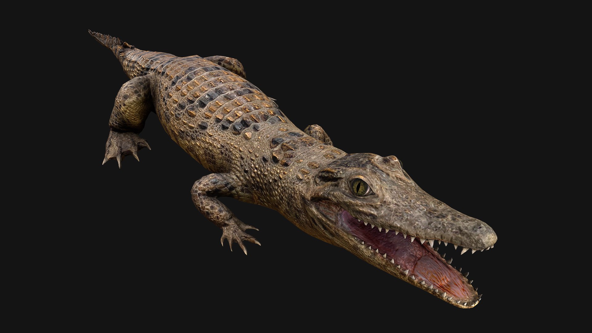 3D Model Crocodile - TurboSquid 2055445