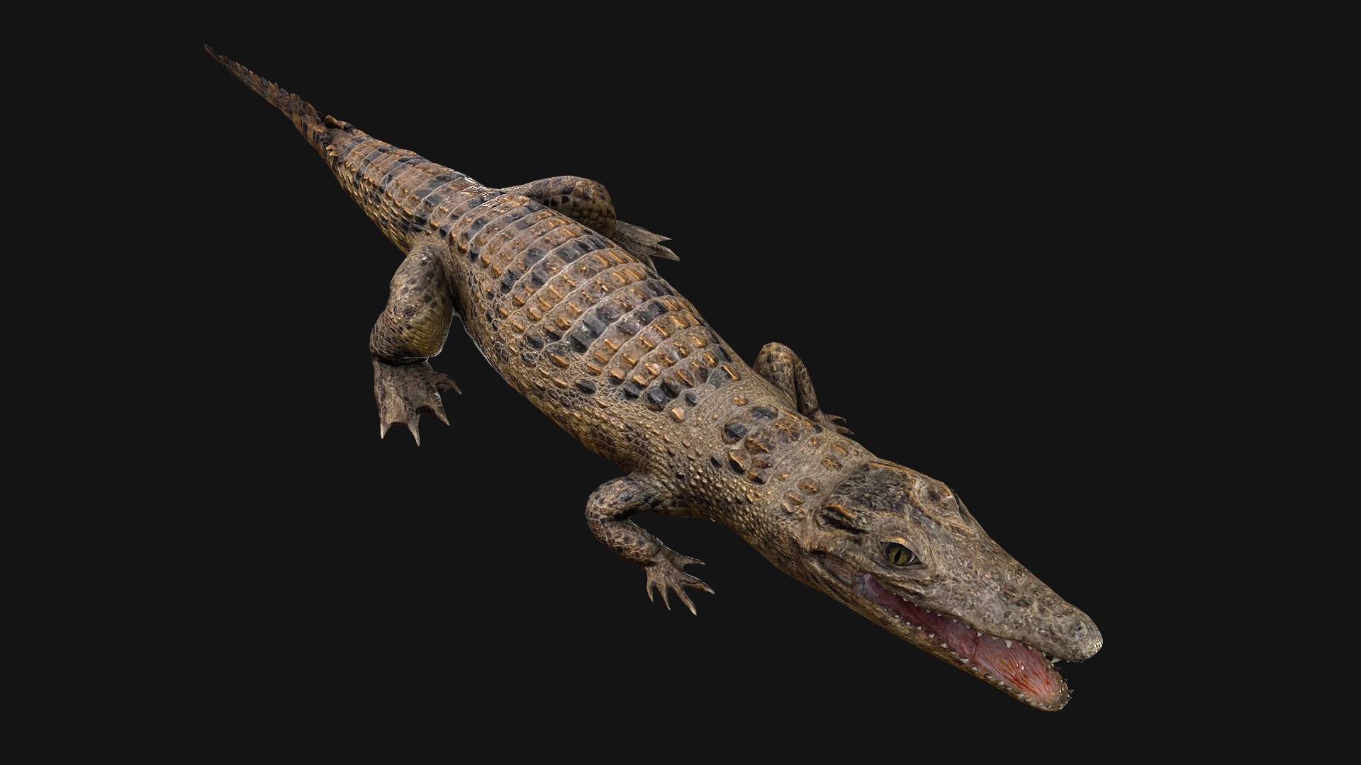 3D Model Crocodile - TurboSquid 2055445