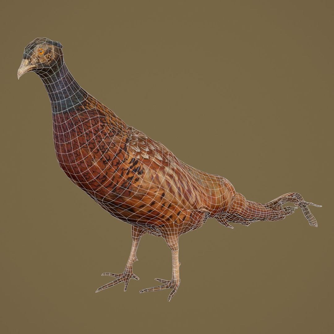 Animal digital photogrammetry 3D model - TurboSquid 1162985