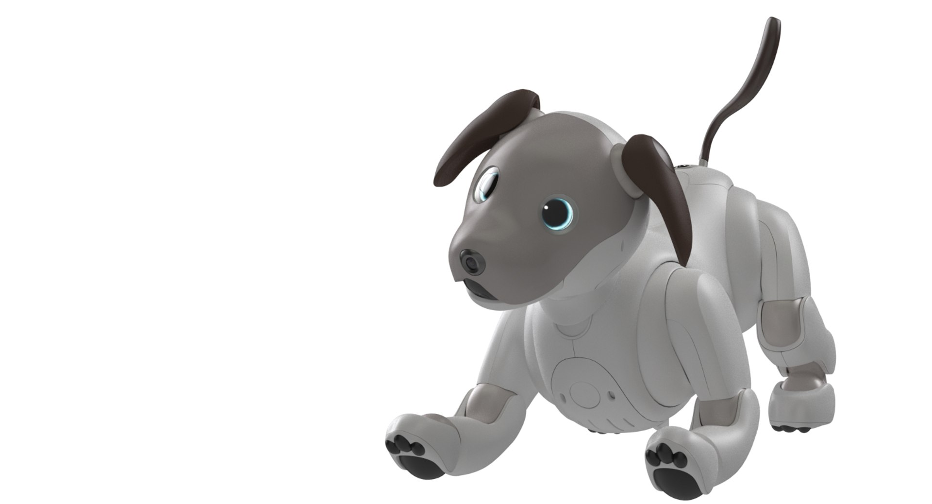 3D realistic sony aibo 2017 model - TurboSquid 1284166